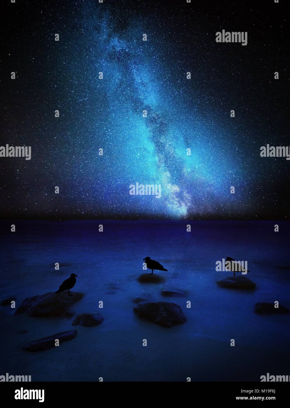Milky way over sea hi-res stock photography and images - Alamy