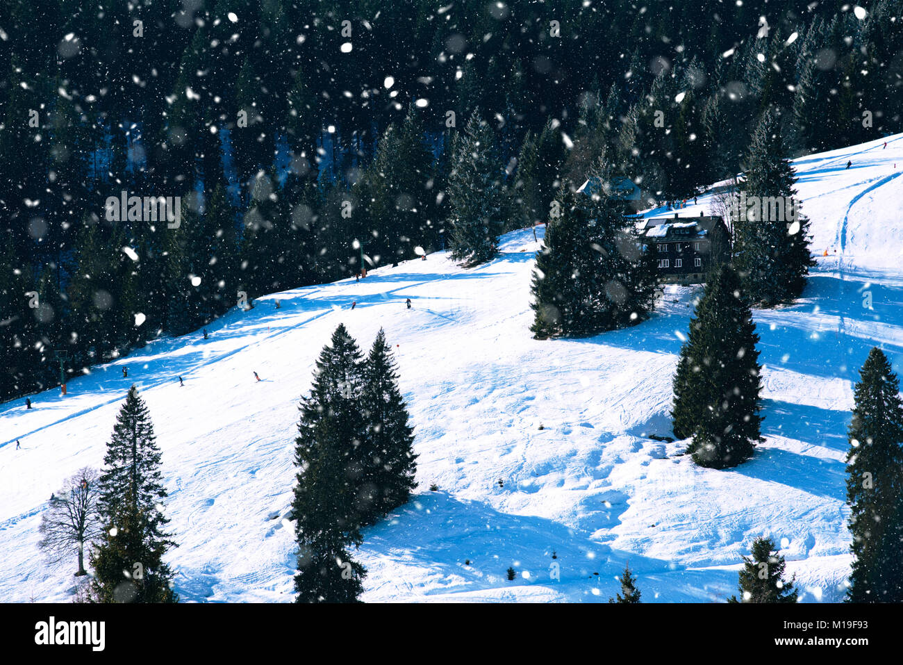 Piste ski tracks on snowy and sunny mountain side Stock Photo - Alamy