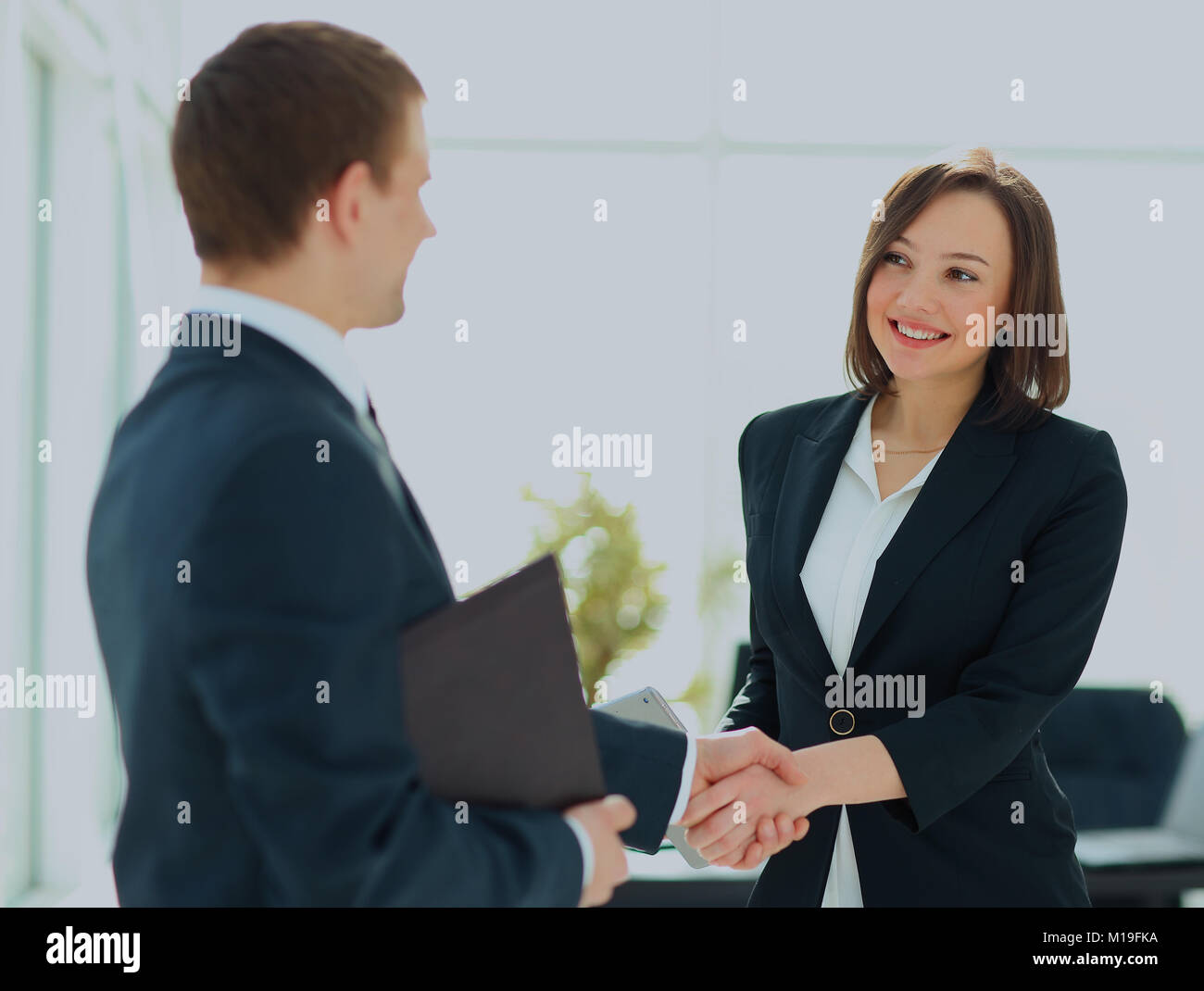 Two professional business people shaking hands Stock Photo - Alamy