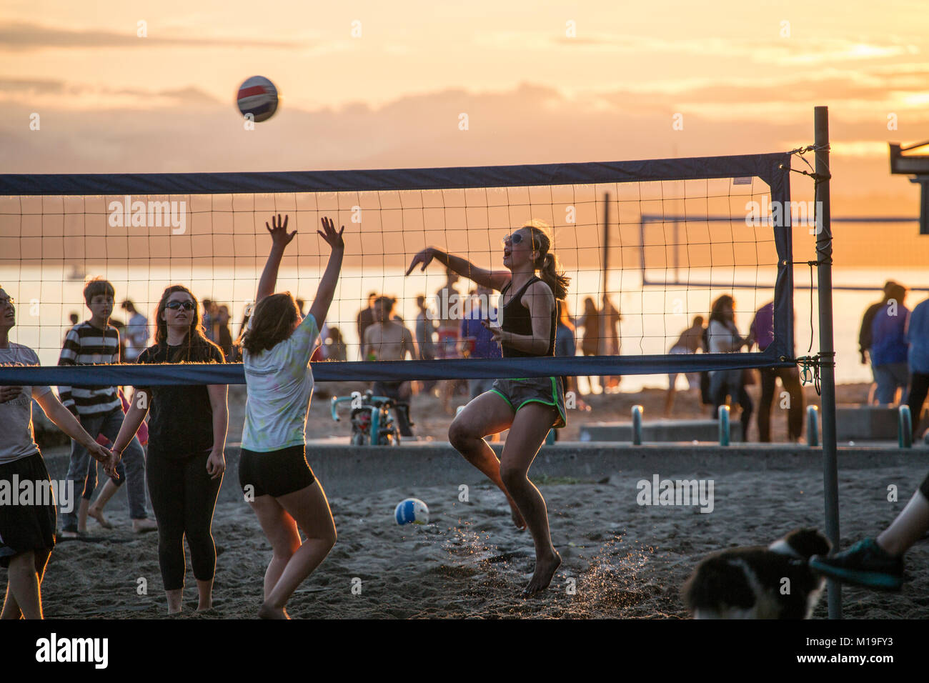 Vollyball hi-res stock photography and images - Alamy