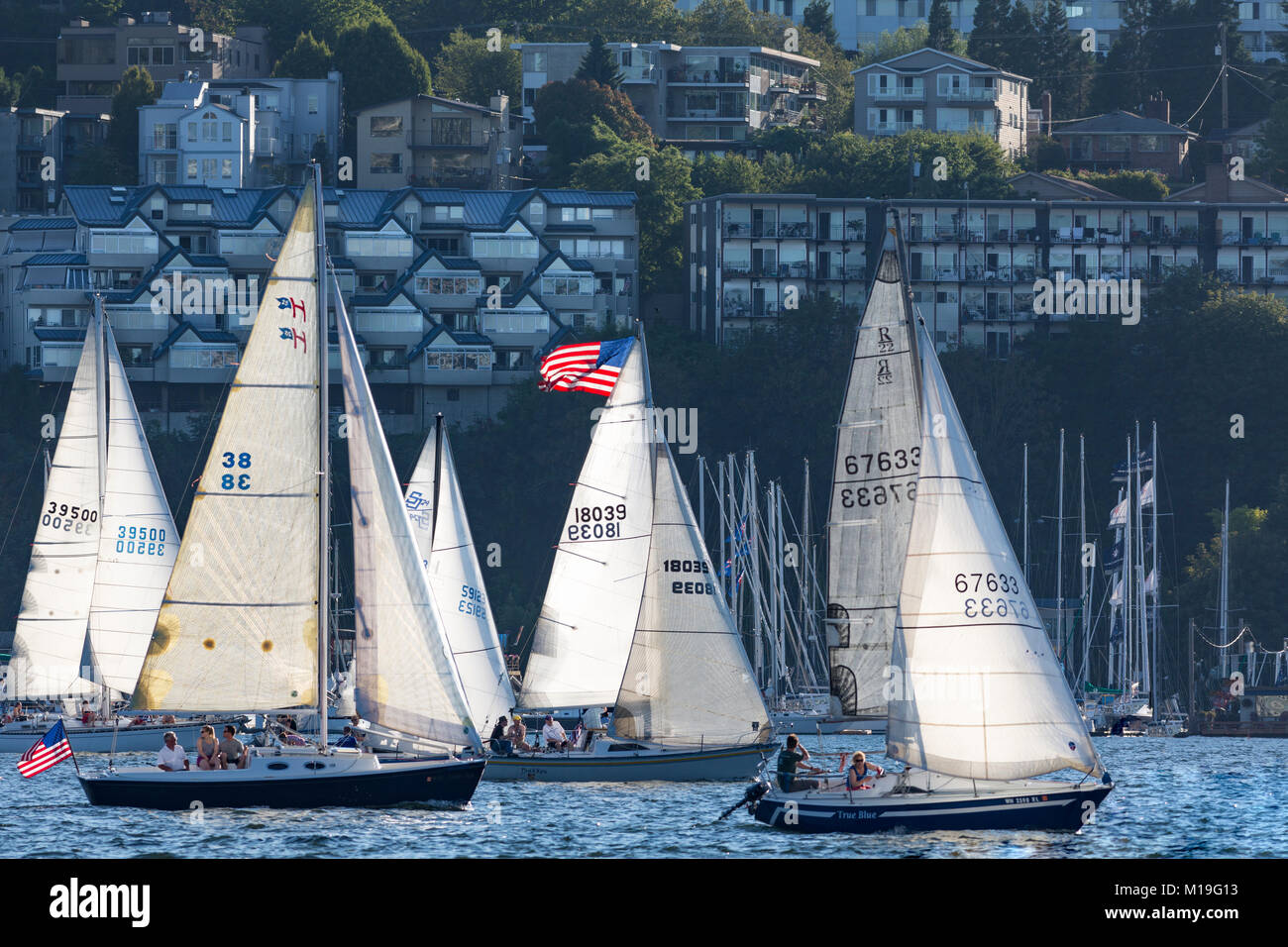 Sailboat race on Lake Union, Seattle, Washington, USA Stock Photo - Alamy