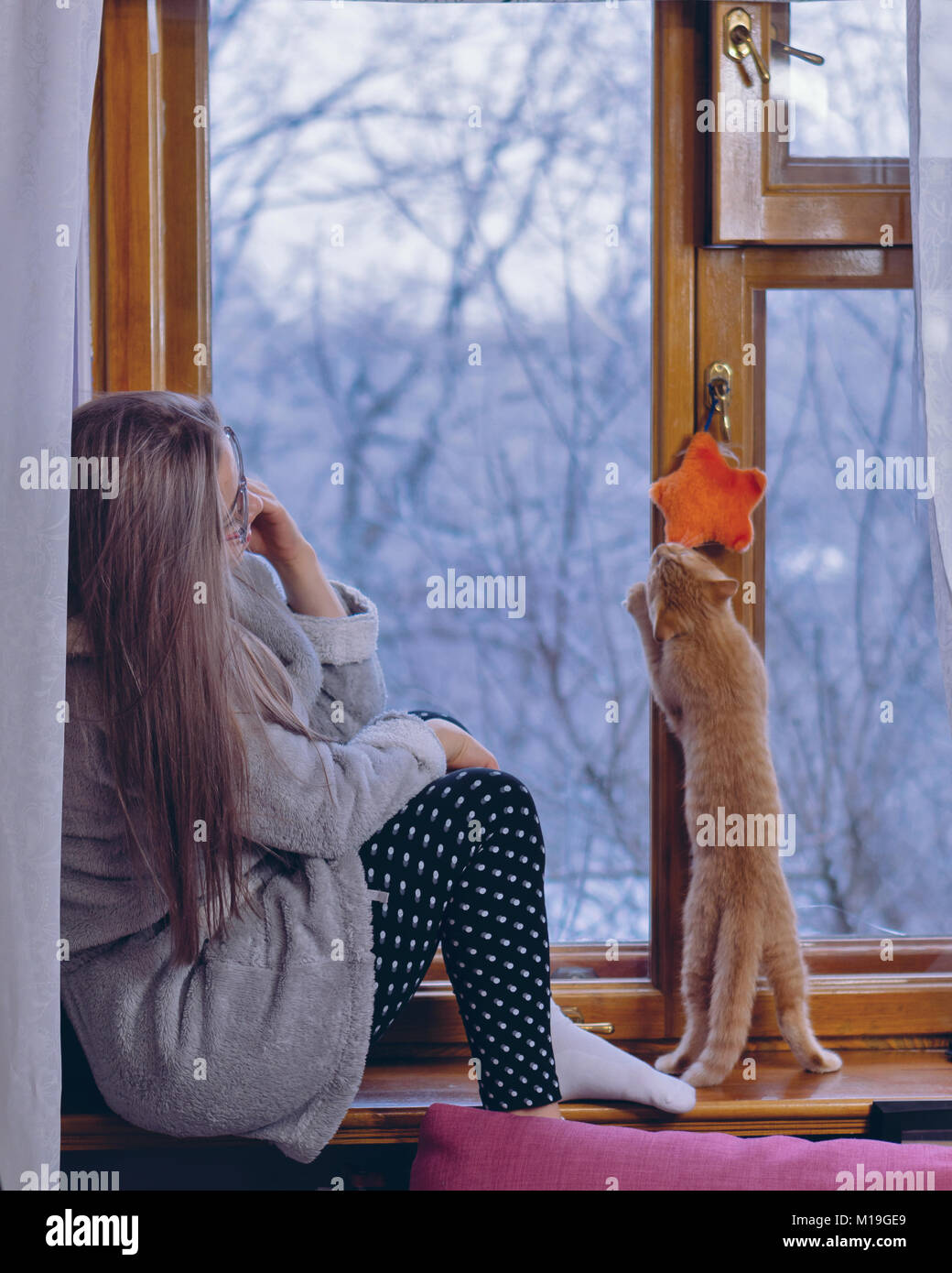 Lovely girl in glasses sits on a windowsill. She is watching the kitten ...