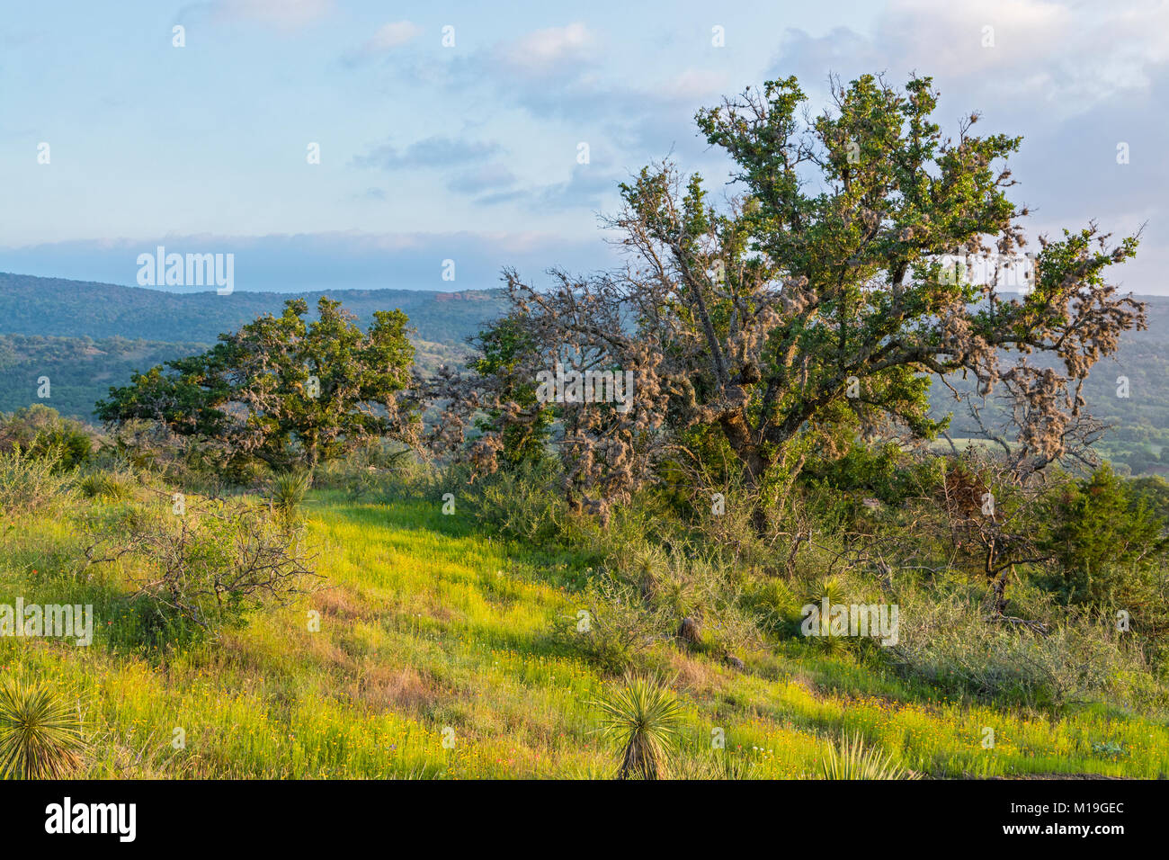 Texas, Hill Country, Gillespie County, view from Willow City Loop Road ...