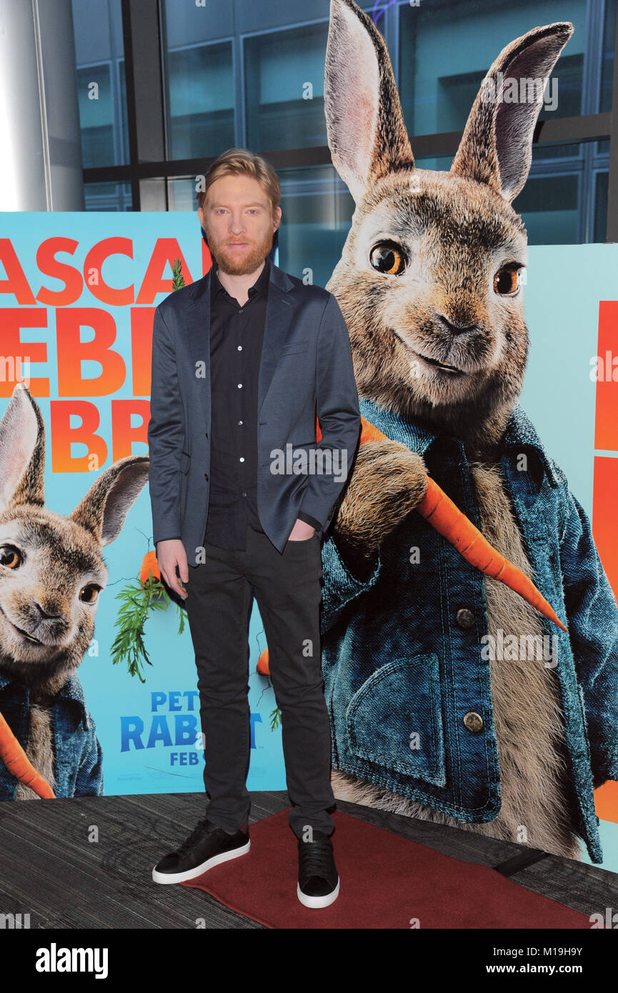 New York, USA. 28th January, 2018. Actor Domhnall Gleeson attends ...