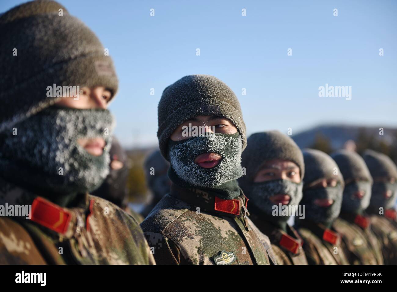 Tahe hi-res stock photography and images - Alamy