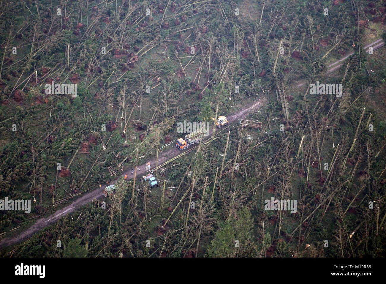 Kalefeld, Germany. 27th Jan, 2018. Hundreds of uprooted trees lie prone ...