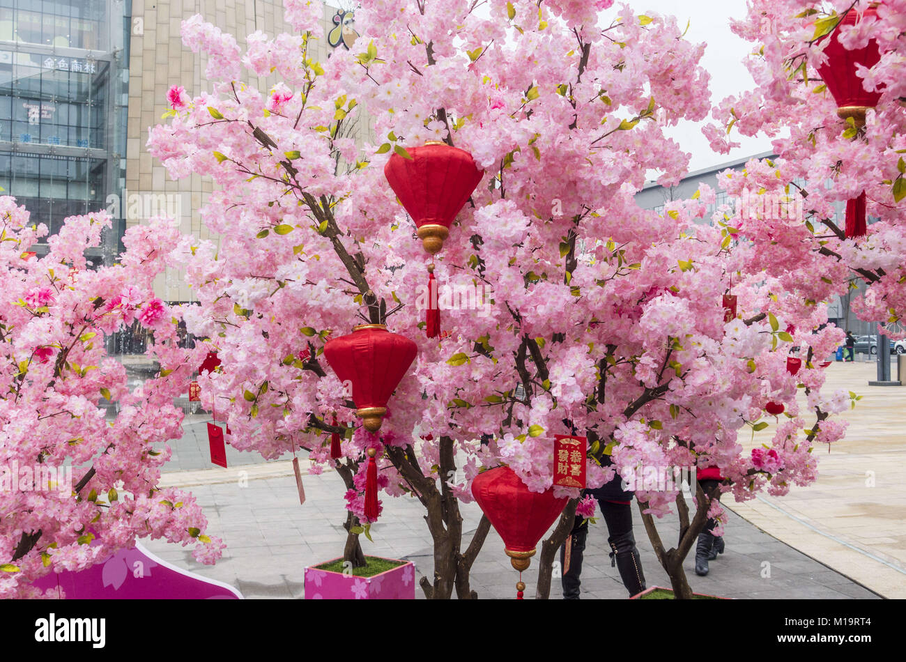Chengdu, Chengdu, China. 27th Jan, 2018. Chengdu, CHINA-27th January ...