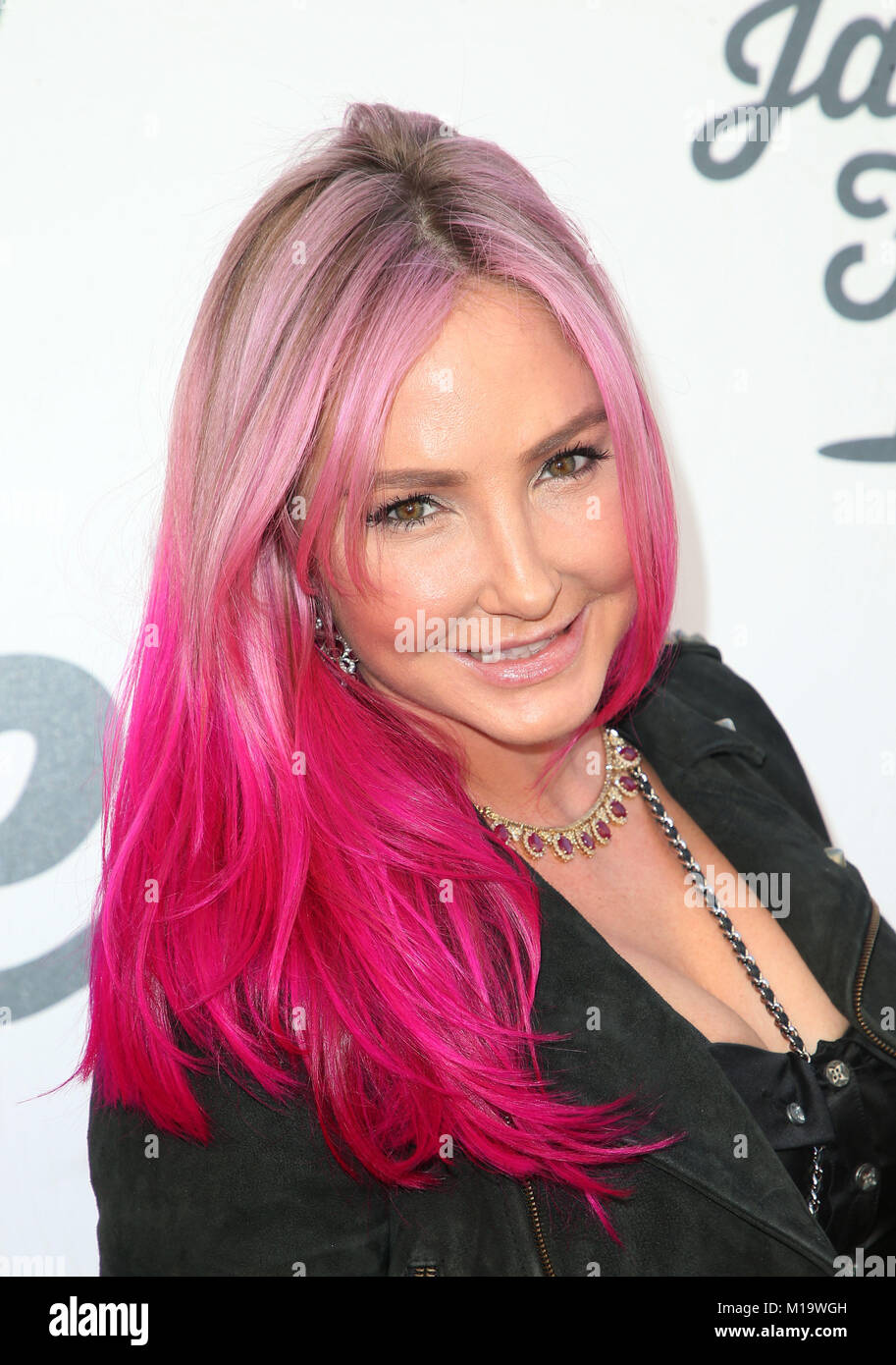 Los Angeles, CA, USA. 28th Jan, 2018. Nikki Lund. Steven Tyler and Live ...