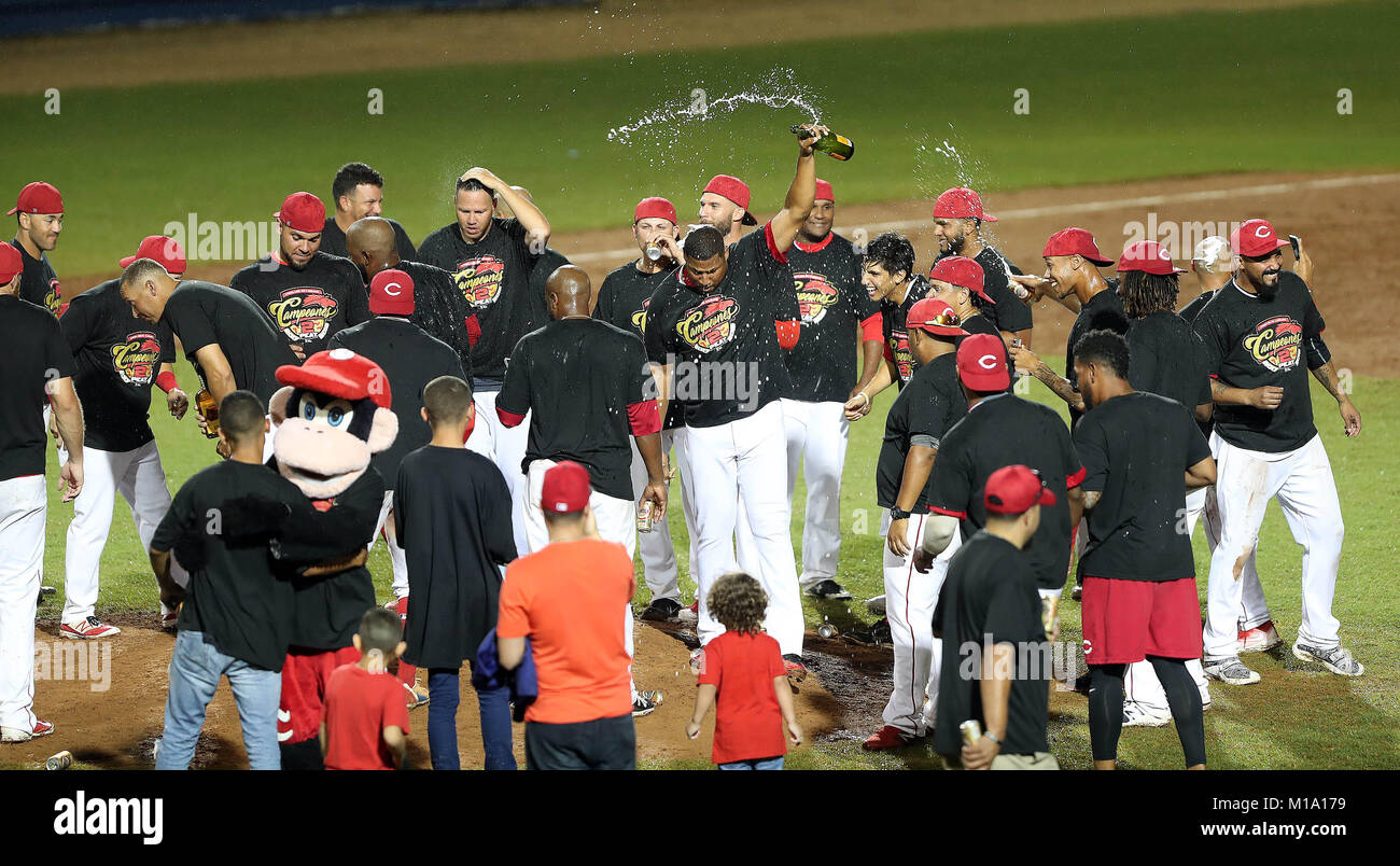 Criollos de caguas hi-res stock photography and images - Alamy