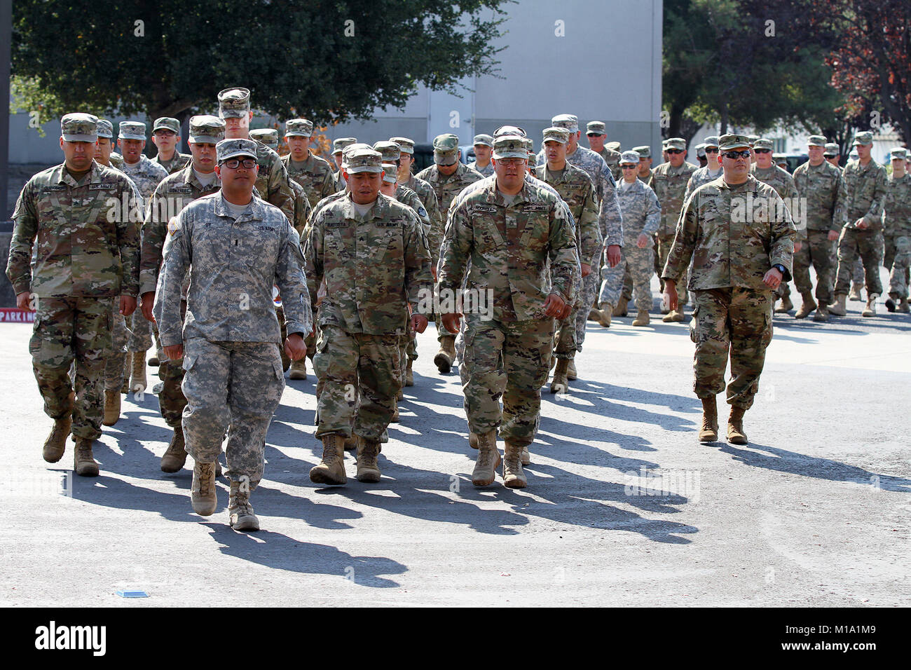 49th mp bde hi-res stock photography and images - Alamy
