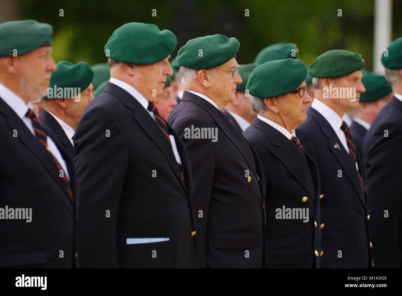 Remembrance, Parade, Central London, Great Britain, United Kingdom ...