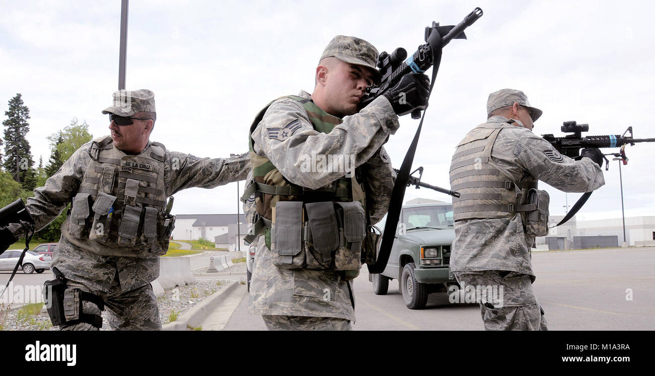 Members of the Security Forces Squadron, 146th Airlift Wing, Channel ...