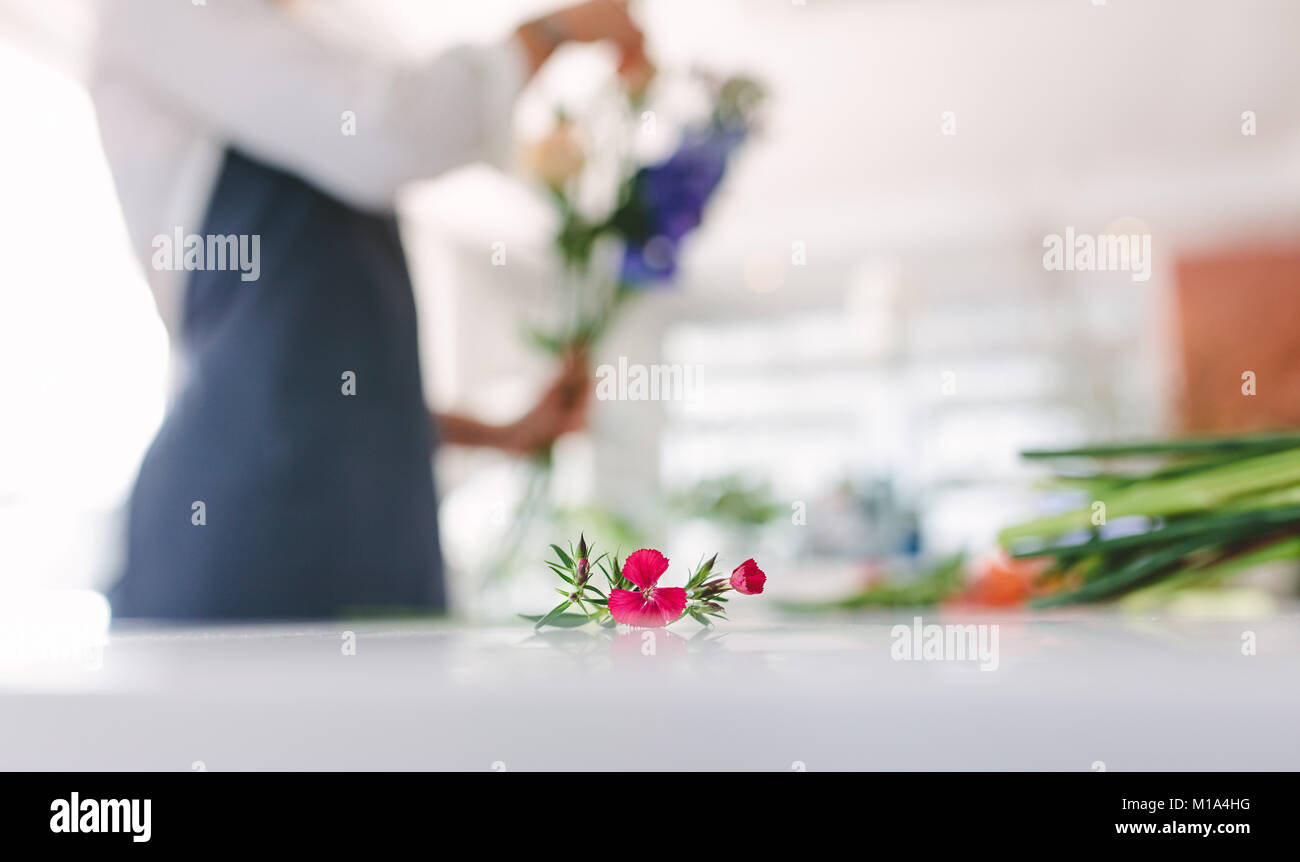 Flower on counter with florist working in background. Female working at ...