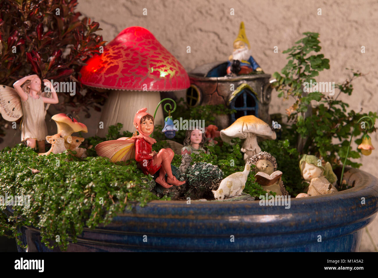 Mysterious container hi-res stock photography and images - Alamy