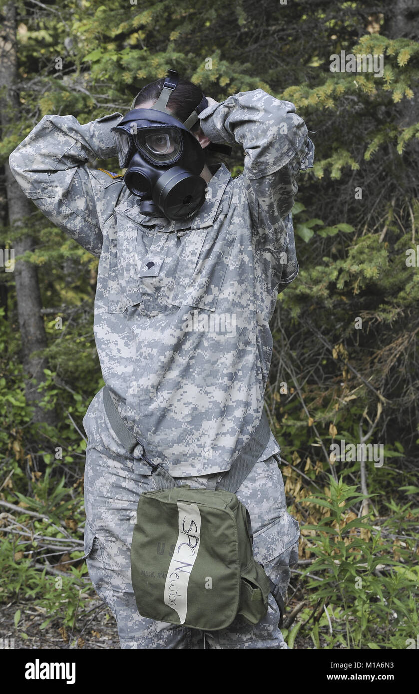 JOINT BASE ELMENDORF-RICHARDSON, Alaska -- Soldiers from the California ...