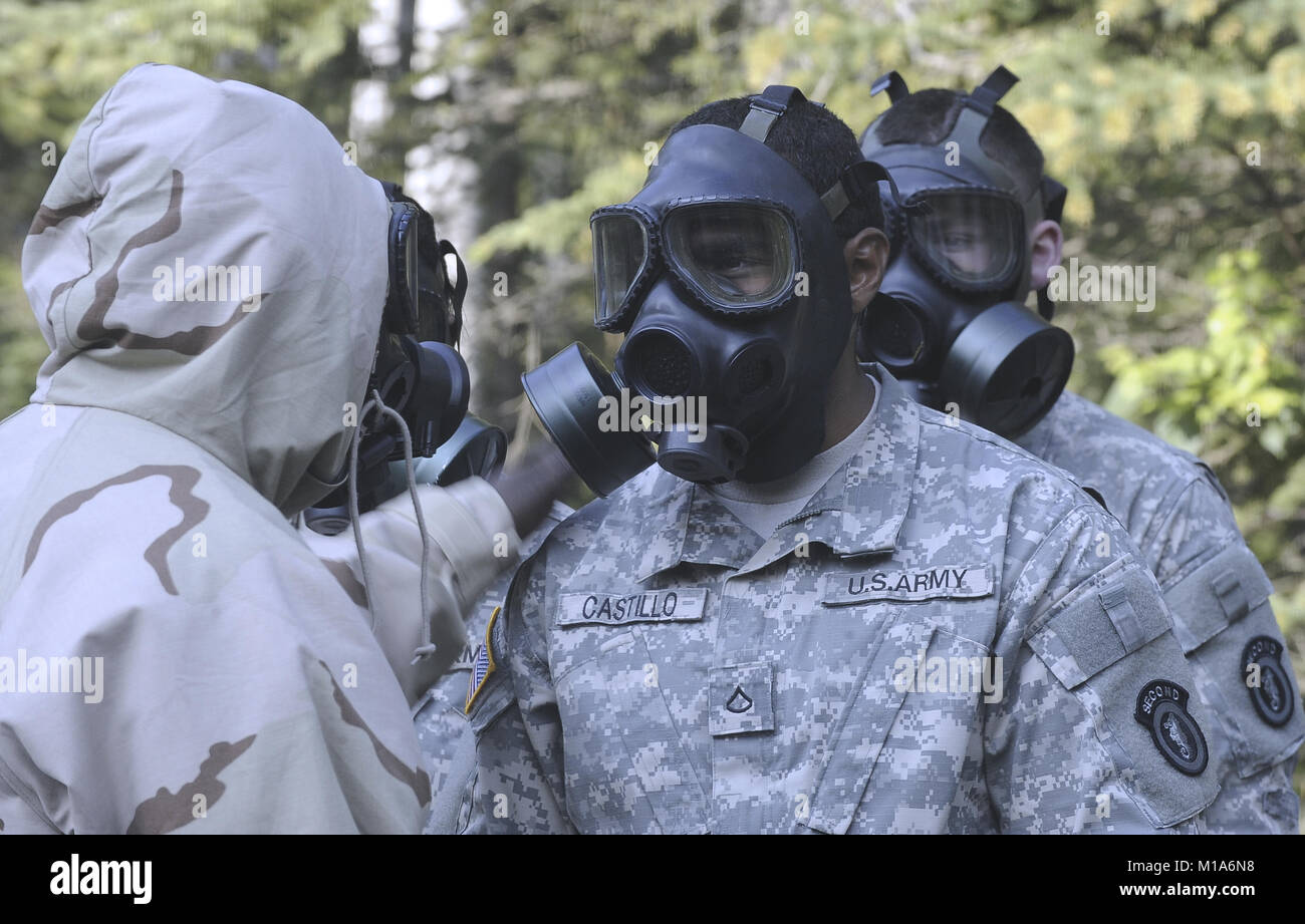 JOINT BASE ELMENDORF-RICHARDSON, Alaska -- Soldiers from the California ...