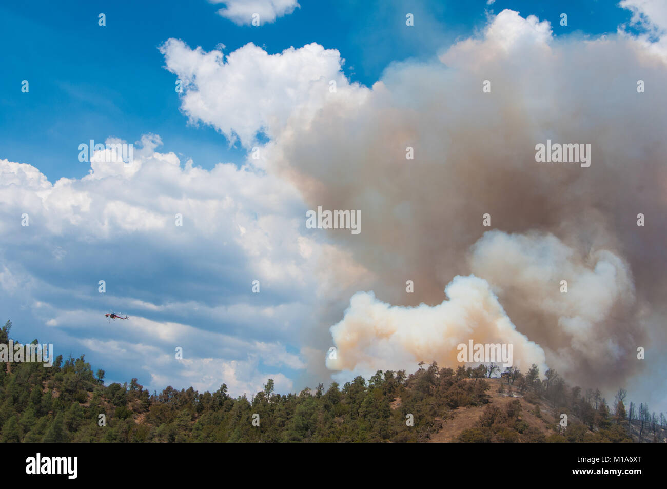 Joint Fire Fighting: Two HH-60G Pave Hawk helicopters from the 129th ...