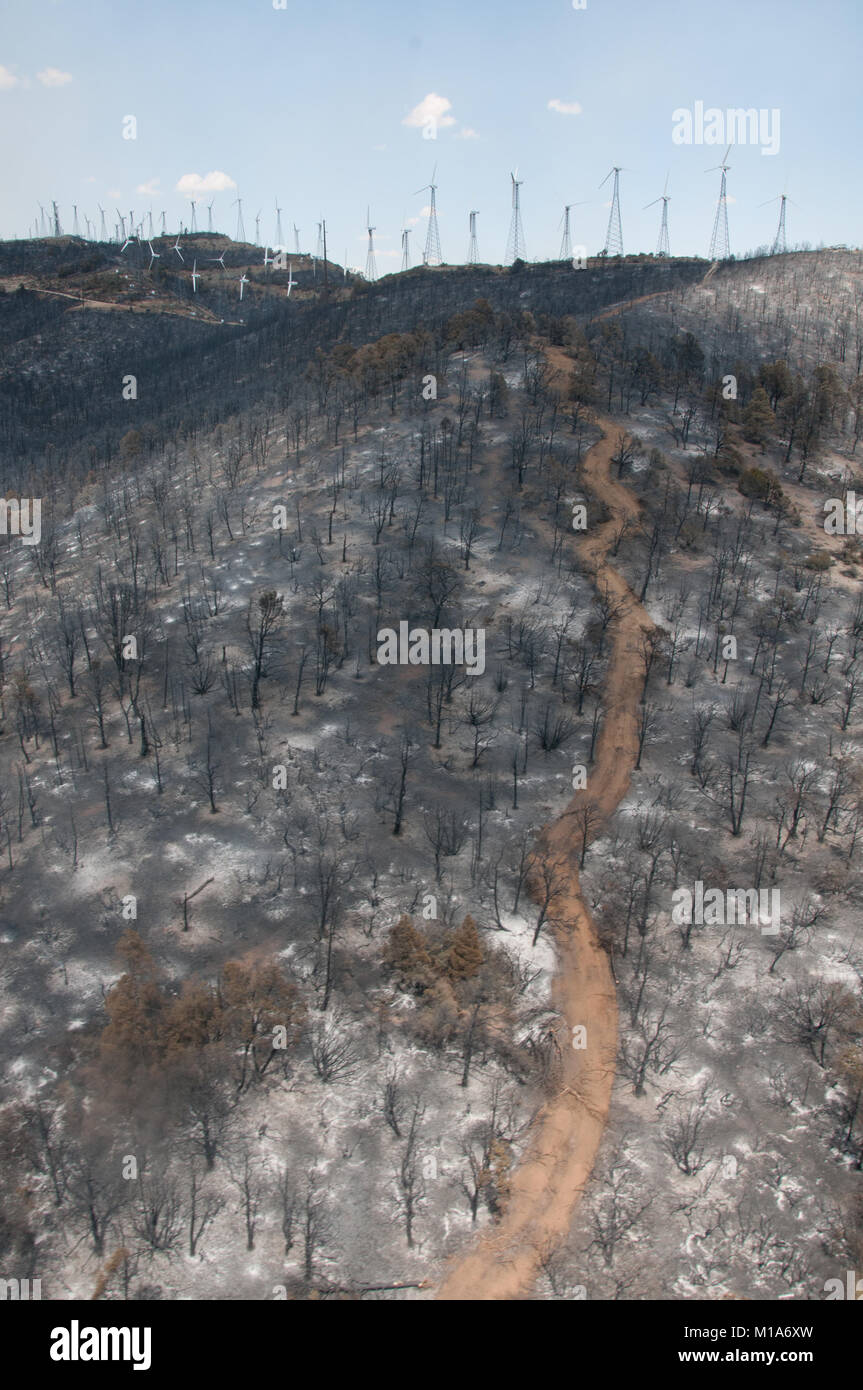Joint Fire Fighting: Two HH-60G Pave Hawk helicopters from the 129th ...