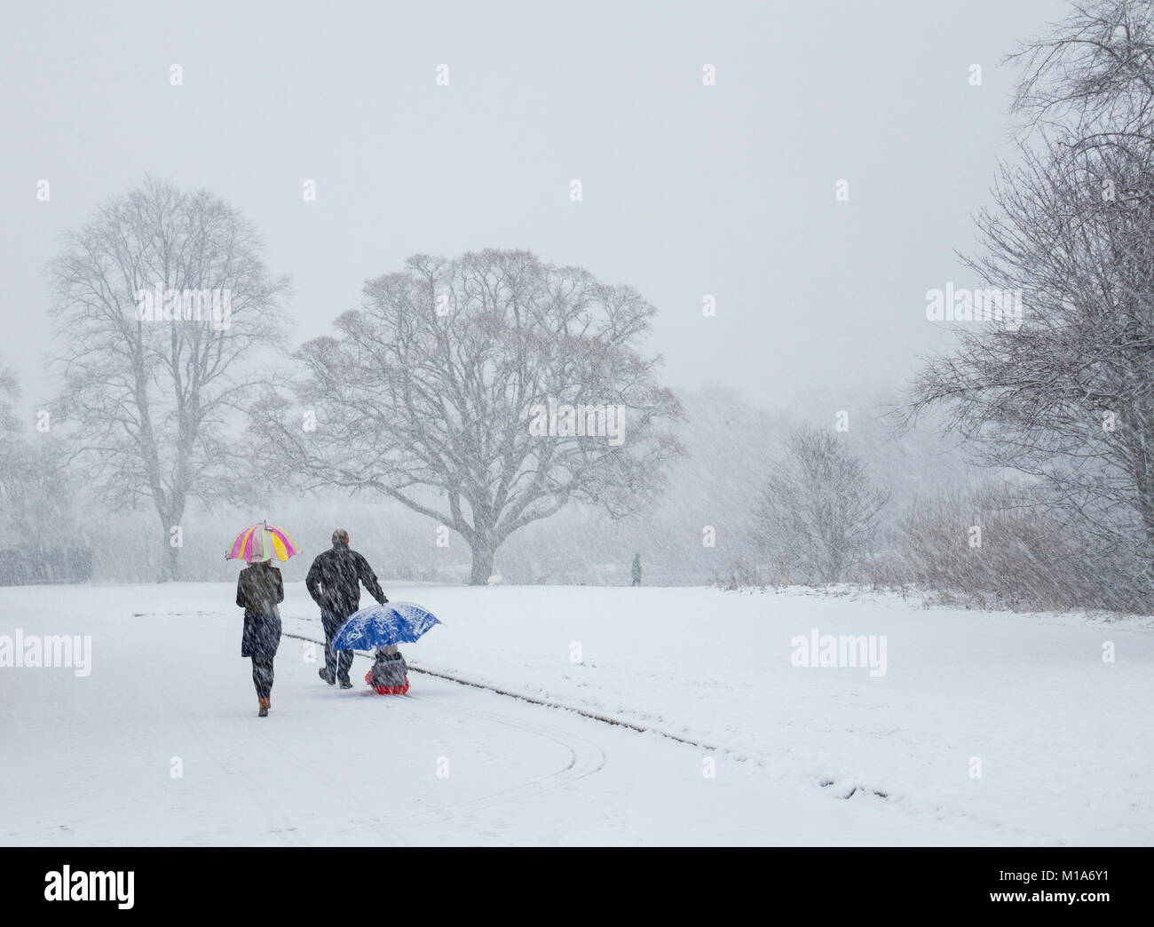 Children sledging snow scotland hi-res stock photography and images - Alamy