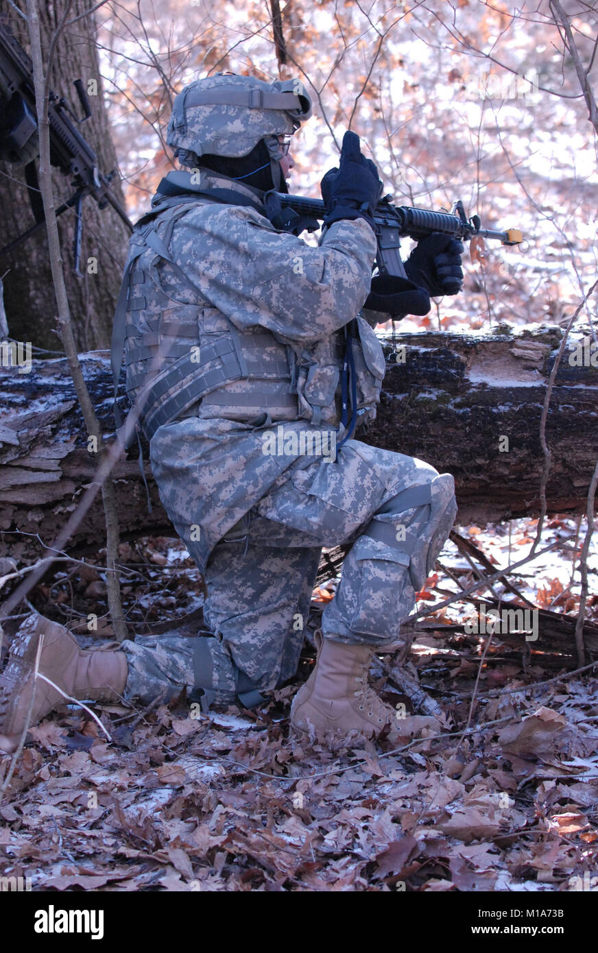 1st squadron 18th cavalry regiment hi-res stock photography and images ...