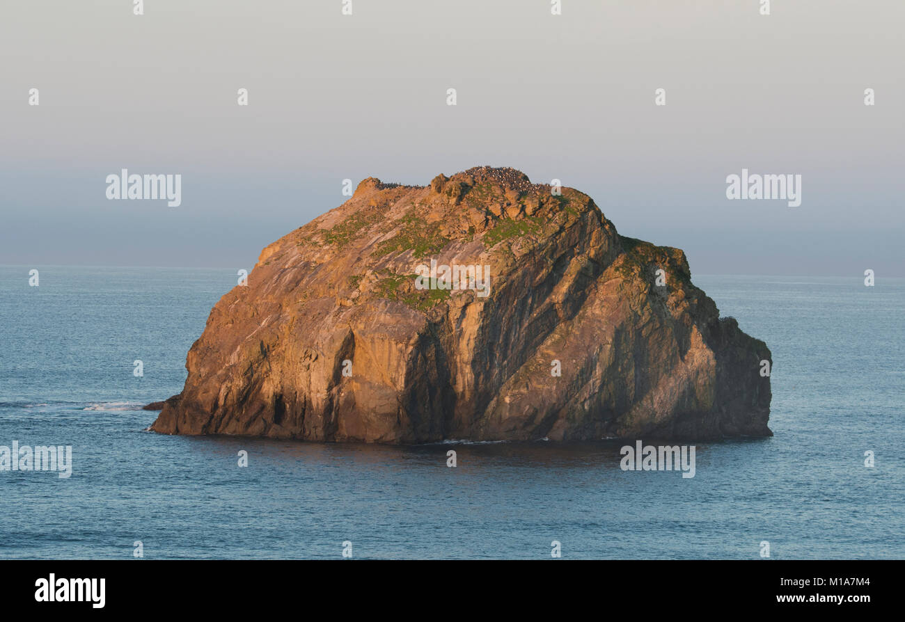Oregon coast rock hi-res stock photography and images - Alamy