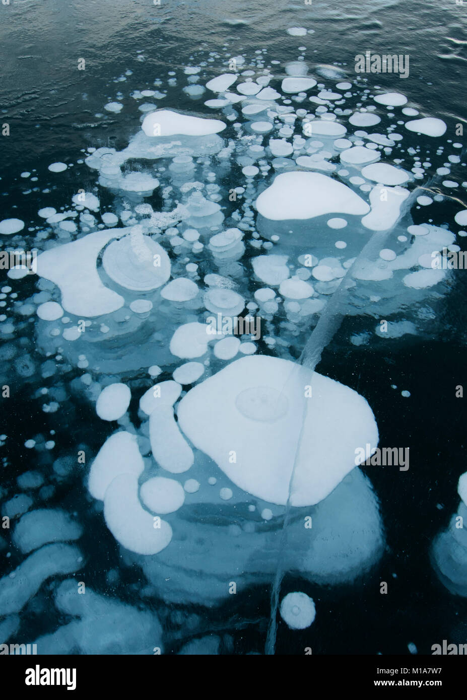 Methane gas bubbles canada hi-res stock photography and images - Alamy