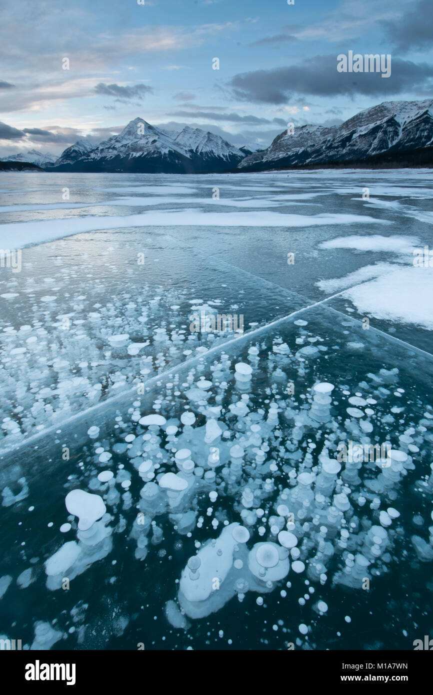 Frozen methane bubbles, Winter, Abraham Lake, Canadian Rockies, Alberta ...