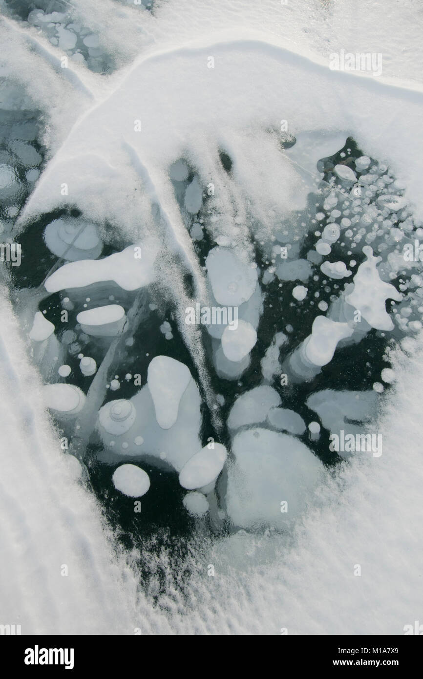 Frozen methane bubbles, Winter, Abraham Lake, Canadian Rockies, Alberta ...