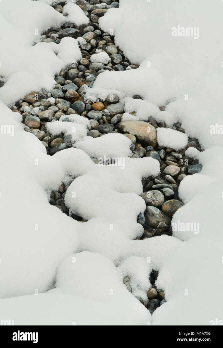 Pebbles and snow, Winter patterns, Banff National Park, Canadian ...
