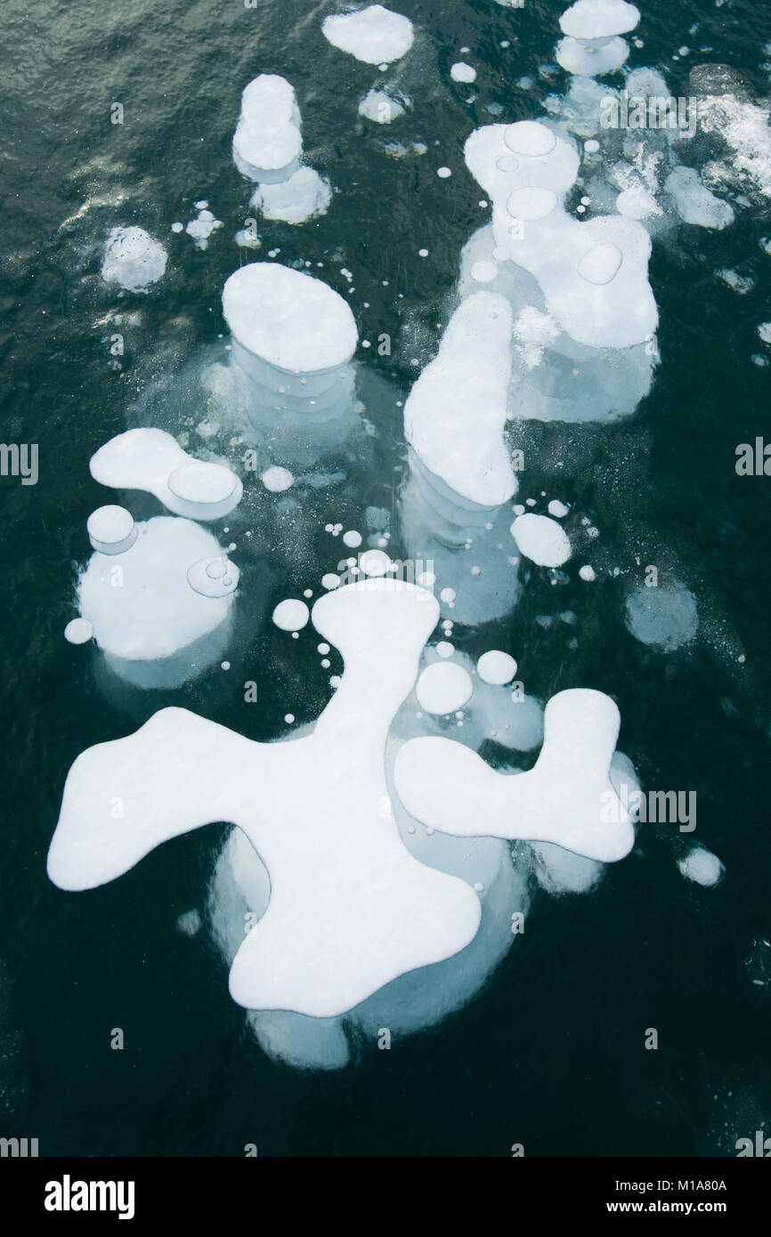 Frozen methane bubbles, Winter, Abraham Lake, Canadian Rockies, Alberta ...