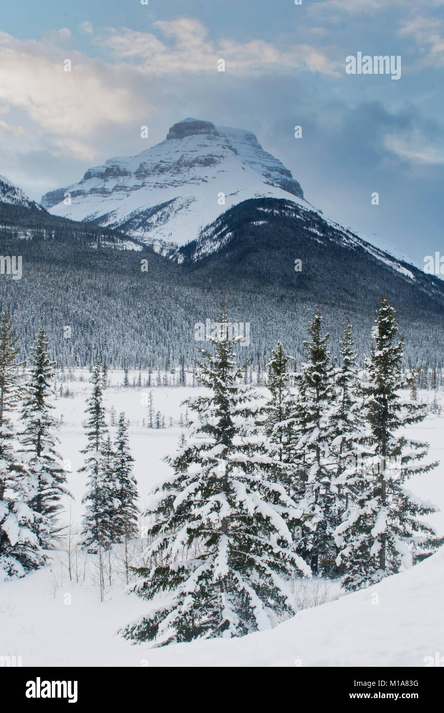 Winter hi-res stock photography and images - Alamy