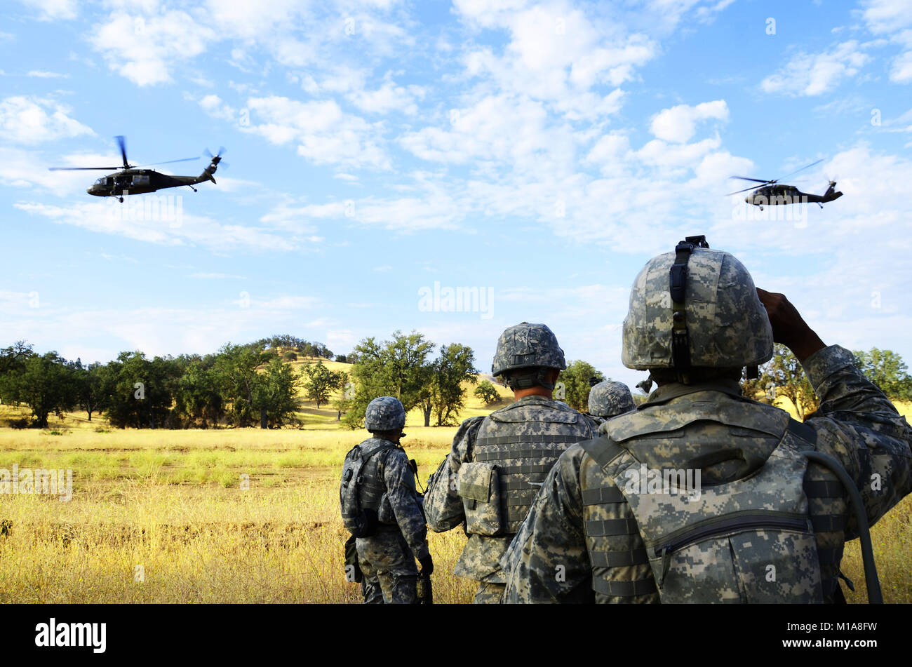 U s army infantry soldiers look hi-res stock photography and images - Alamy
