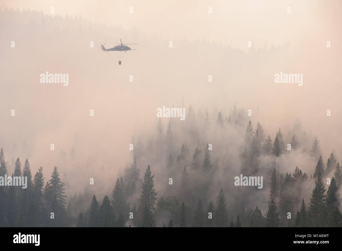 Avey released hi-res stock photography and images - Alamy