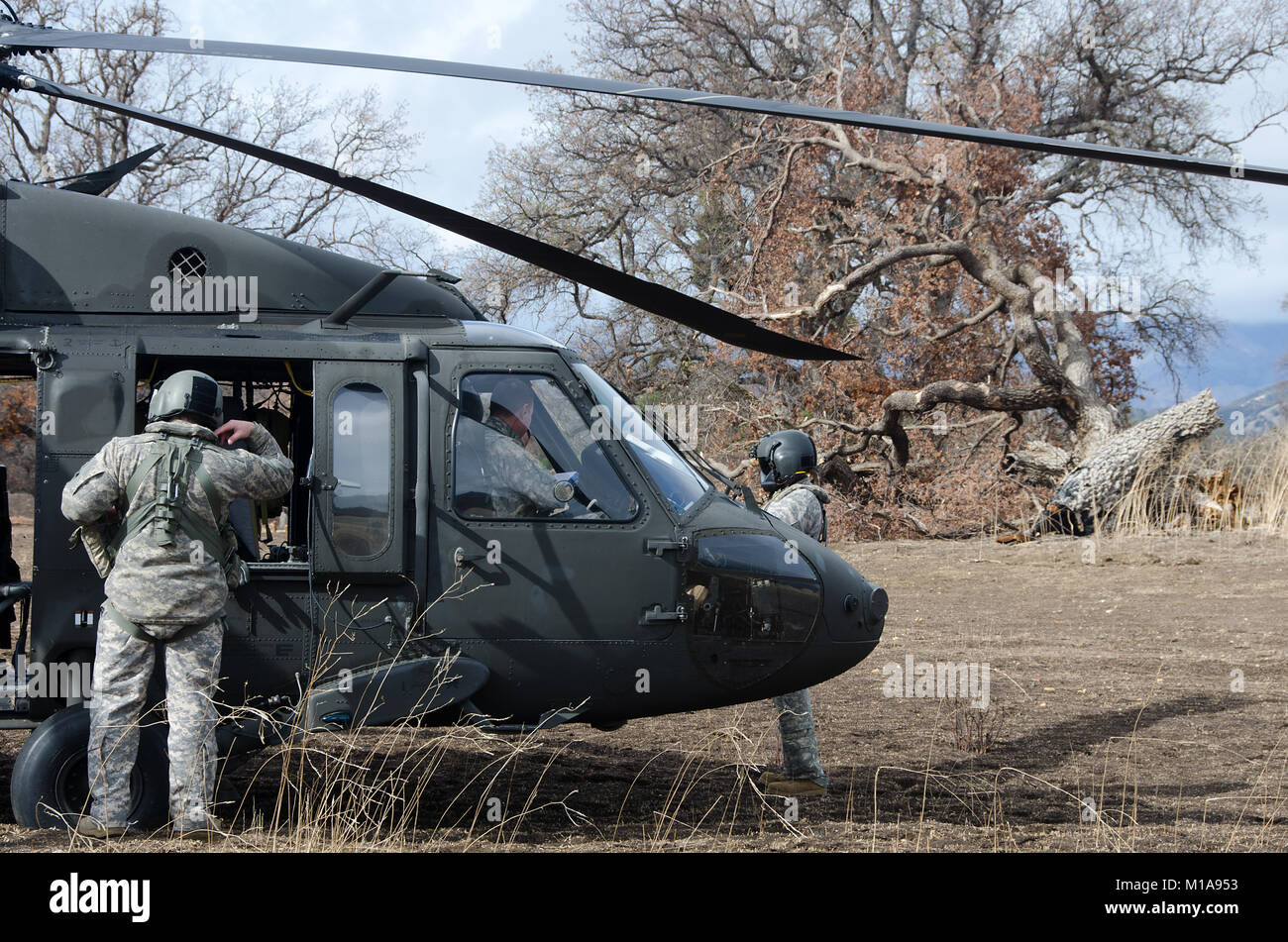 CAMP HUNTER LIGGETT, Calif. – As Soldiers of the 1st Battalion, 184th ...
