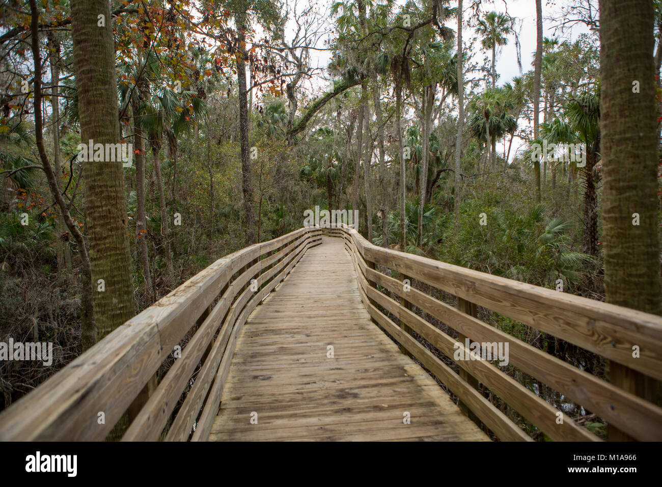 Blue springs state park hi-res stock photography and images - Alamy