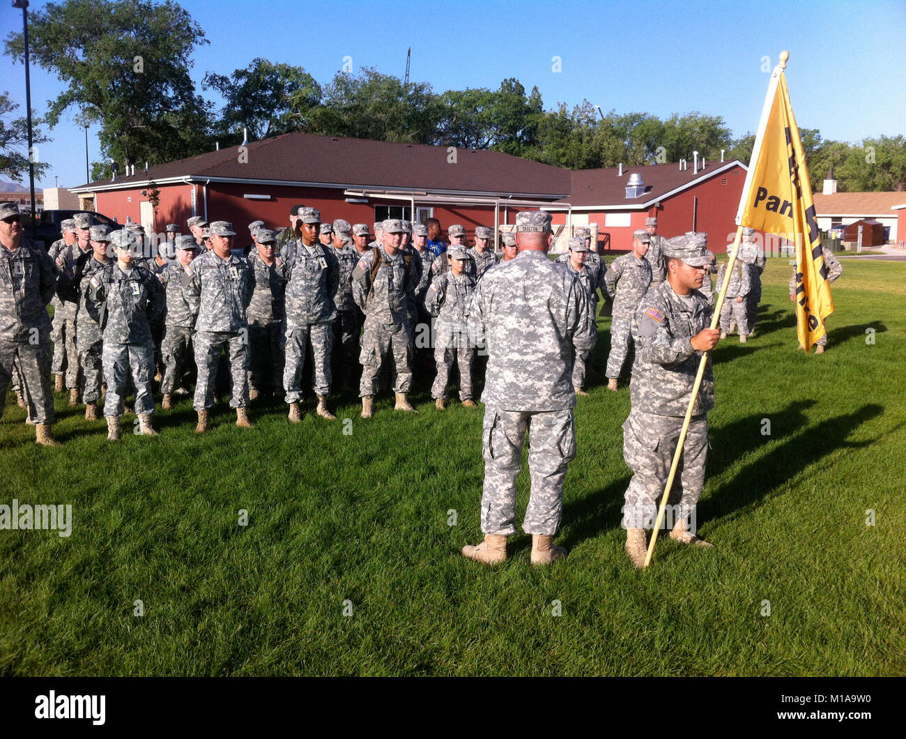 Human cells in joint hi-res stock photography and images - Alamy