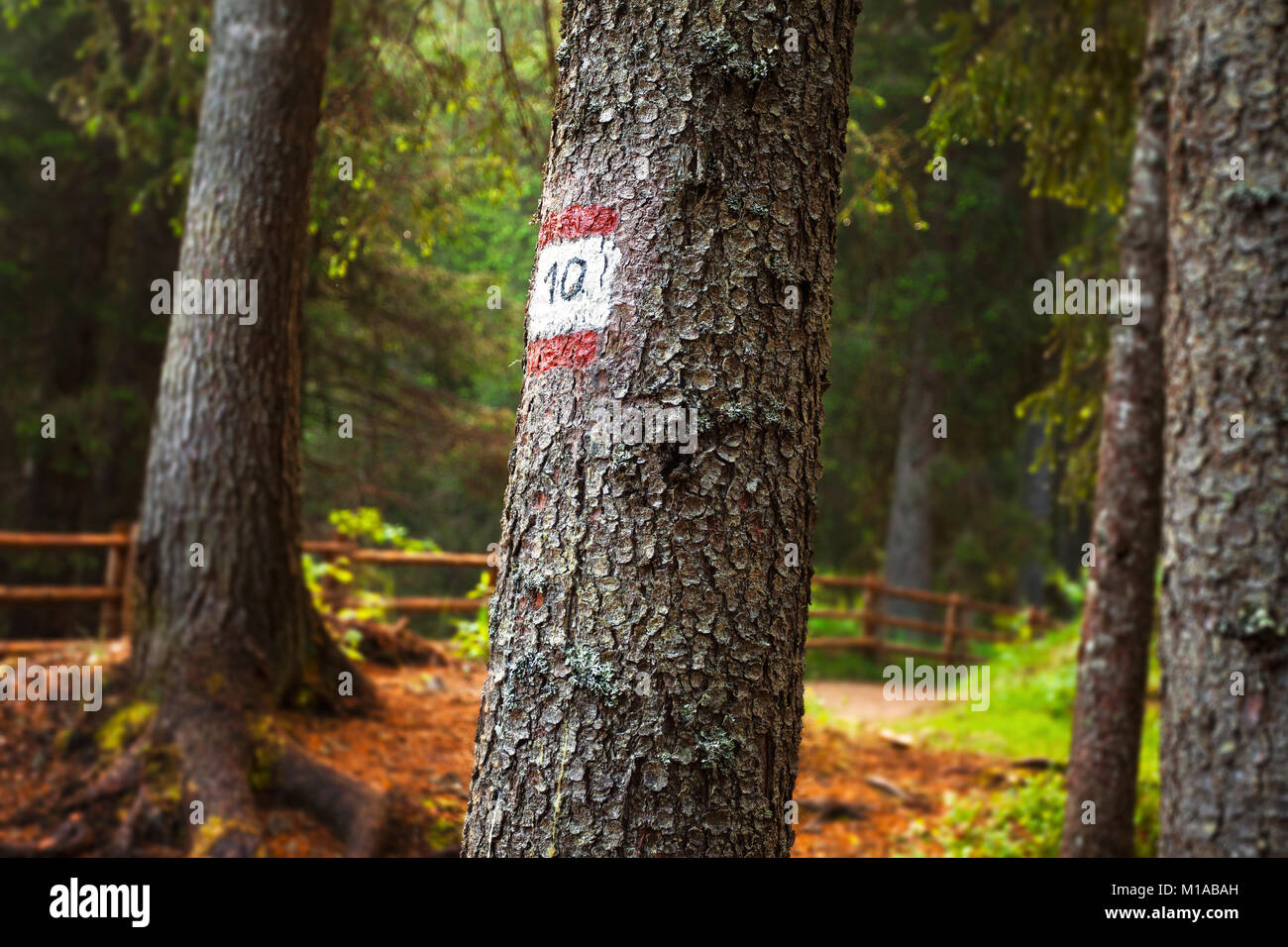 Number 10 in nature hi-res stock photography and images - Alamy
