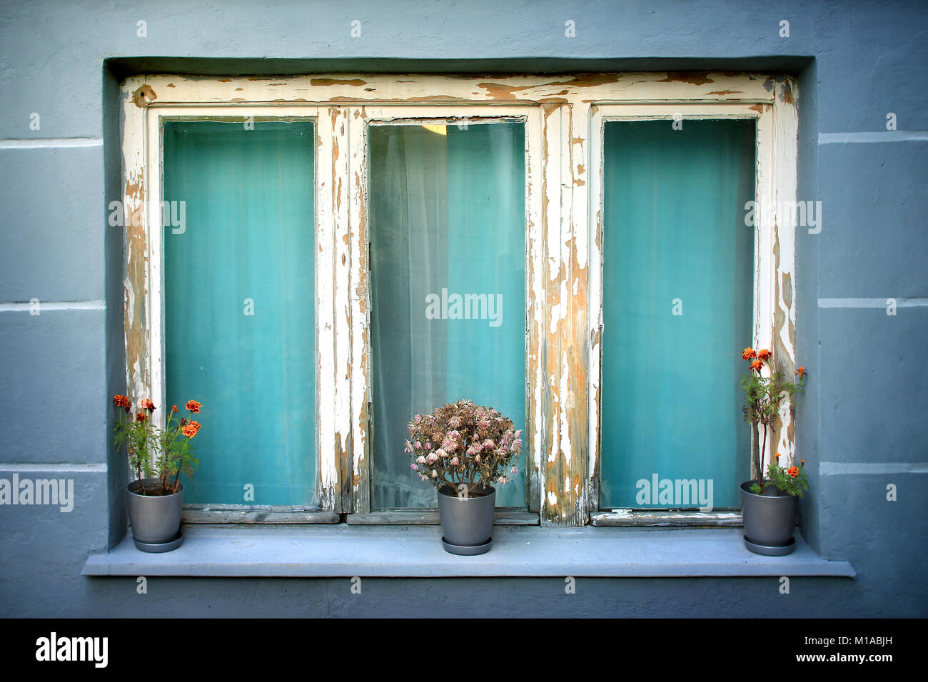 Old window with flowerpots Stock Photo - Alamy