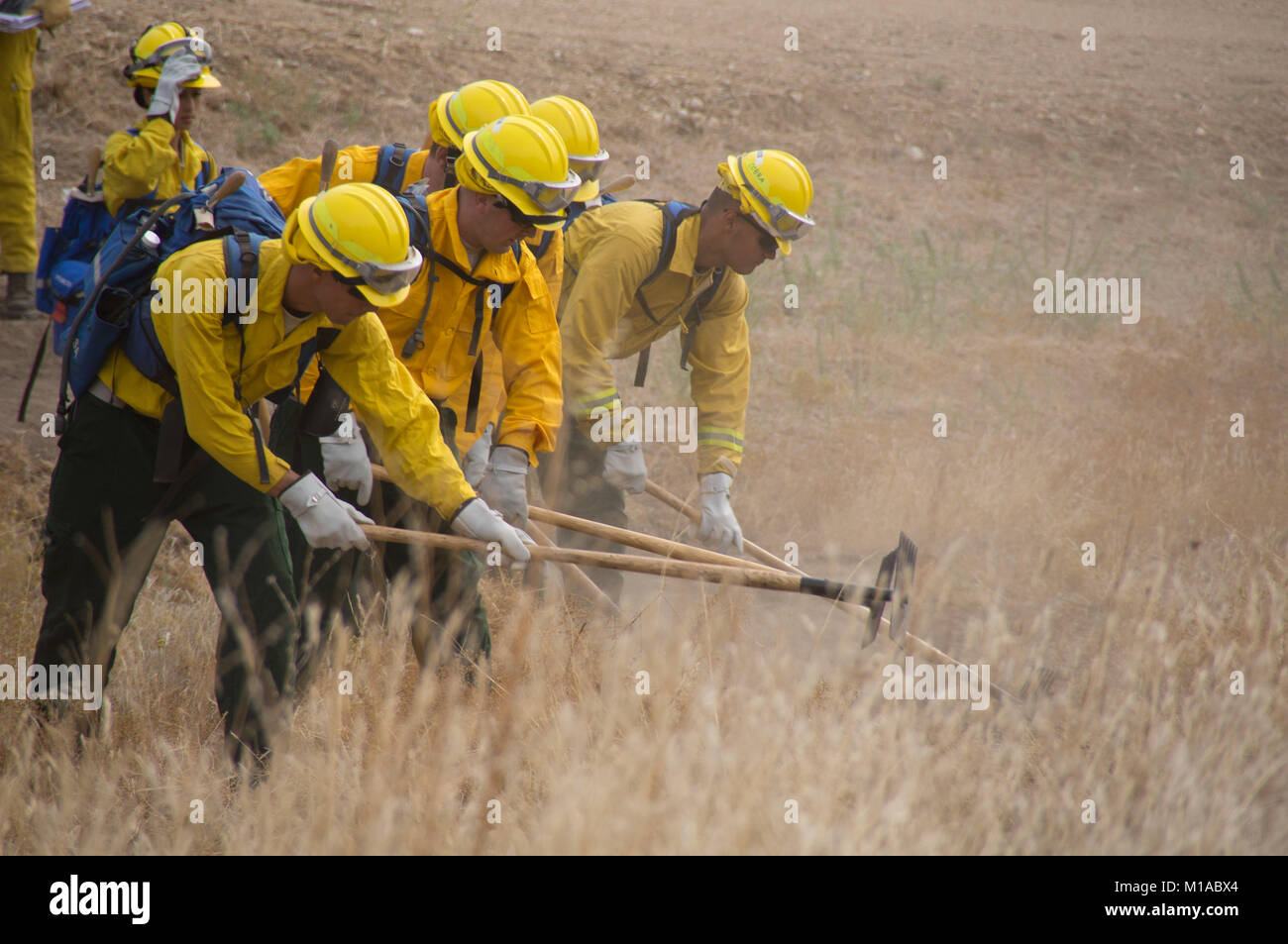 California Army National Guard hand crew digging in deep. Camp Roberts ...