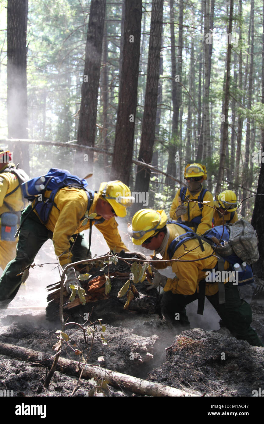 Soldiers from Task Force Alpha, California Army National Guard, remove ...