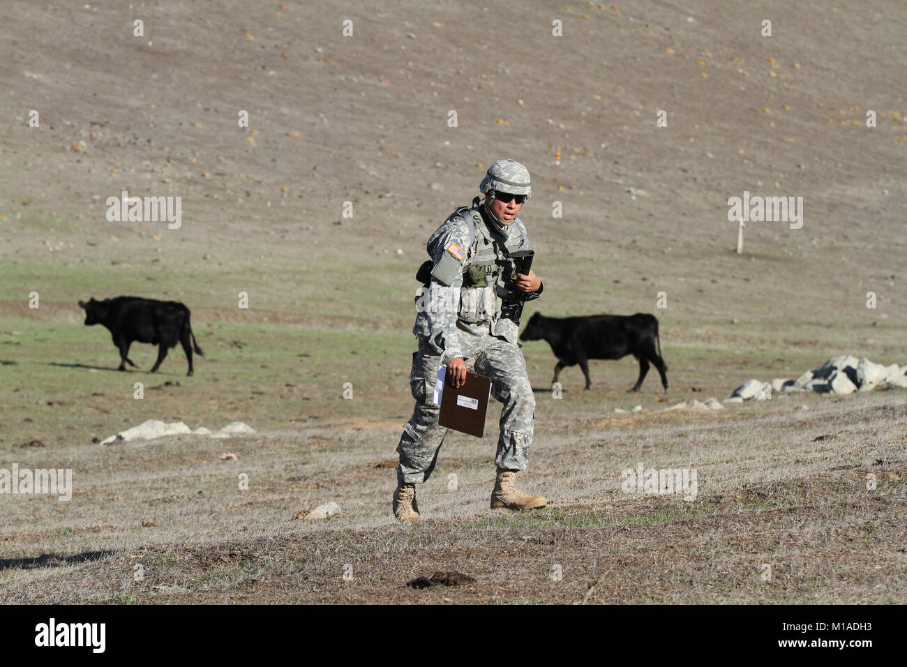 100th Troop Command High Resolution Stock Photography and Images - Alamy