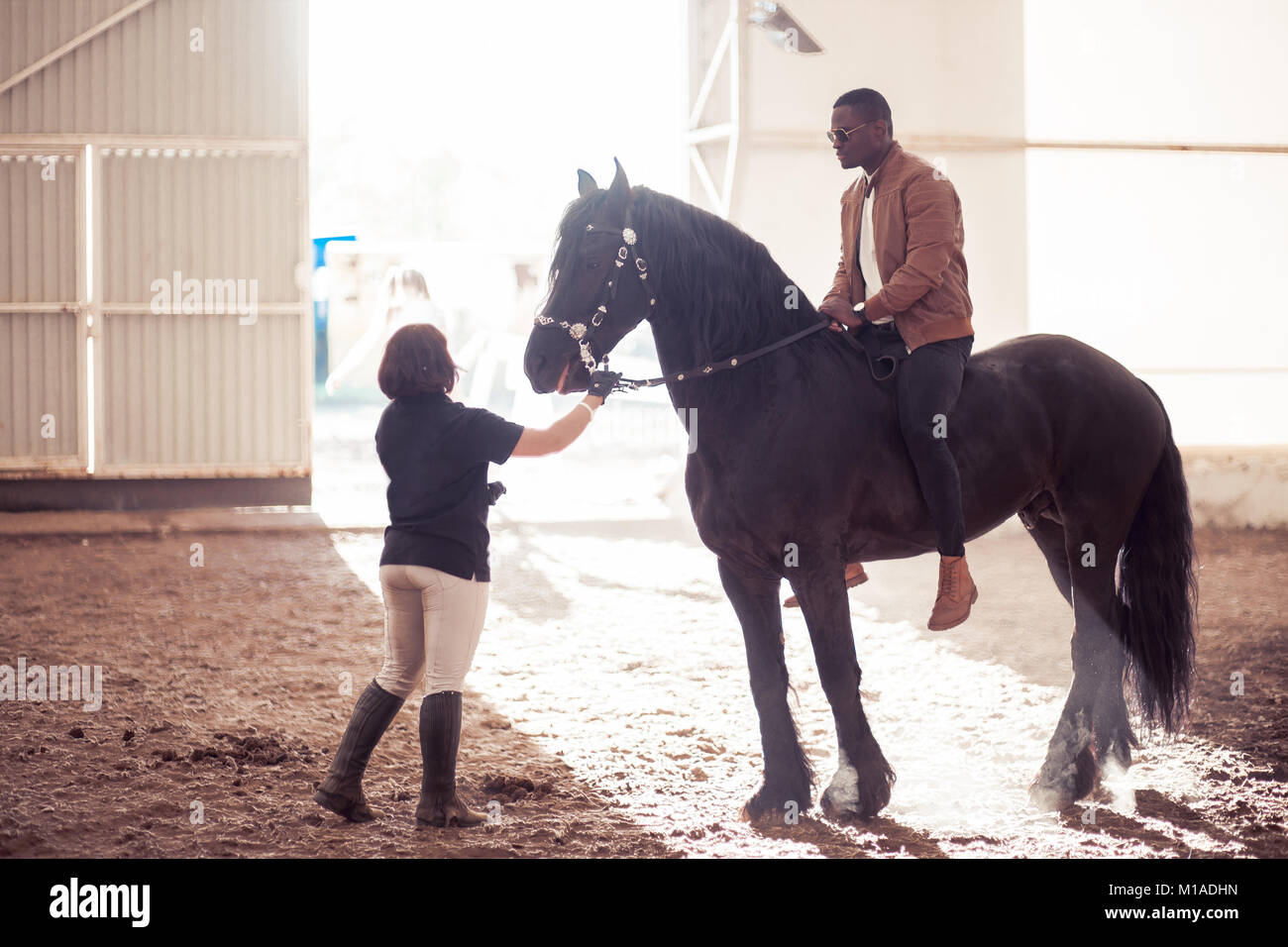 man riding brown horse on countryside Stock Photo - Alamy