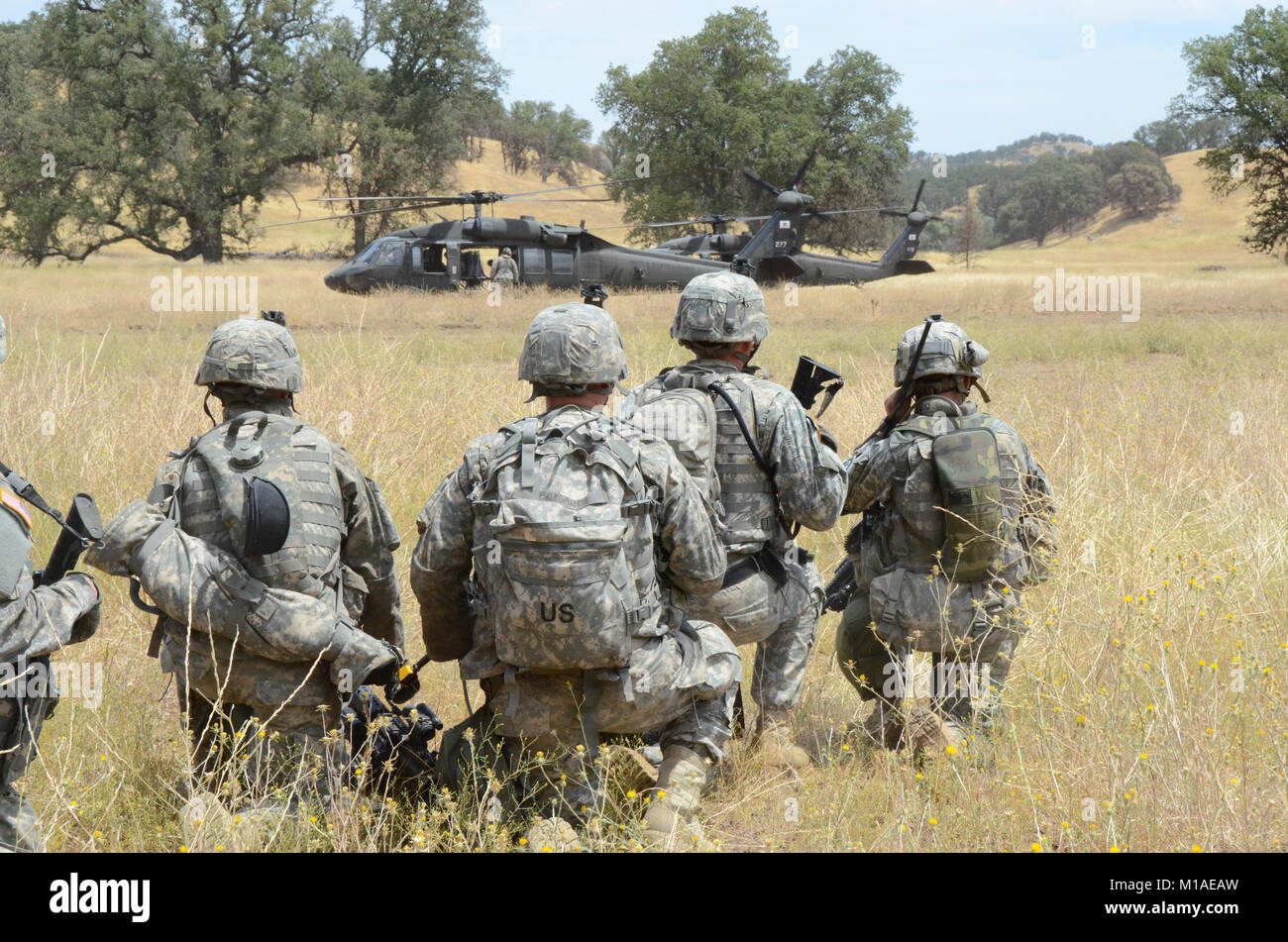 California Army National Guard Soldiers from the 1st Battalion, 184th ...