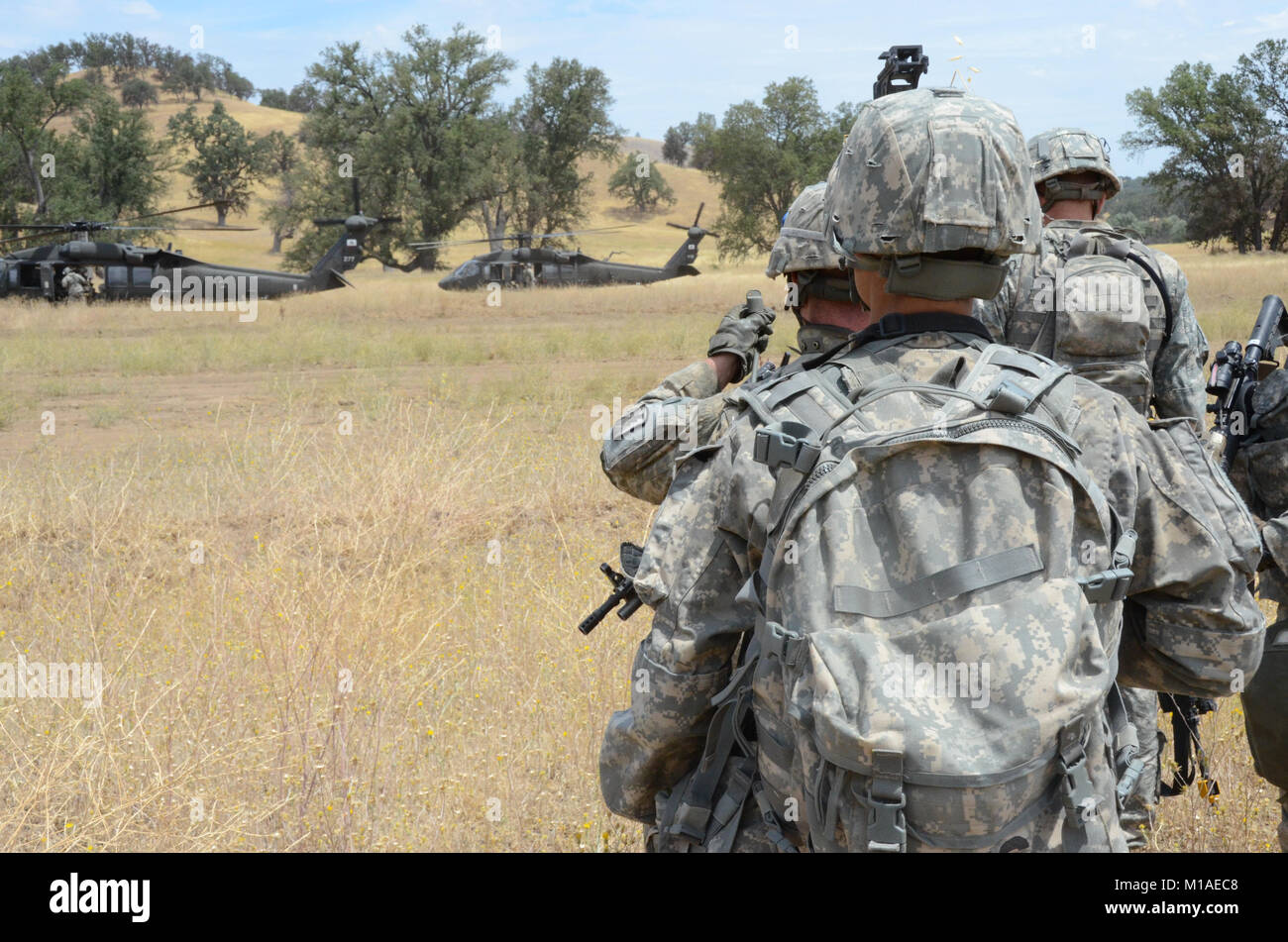 California Army National Guard Soldiers from the 1st Battalion, 184th ...