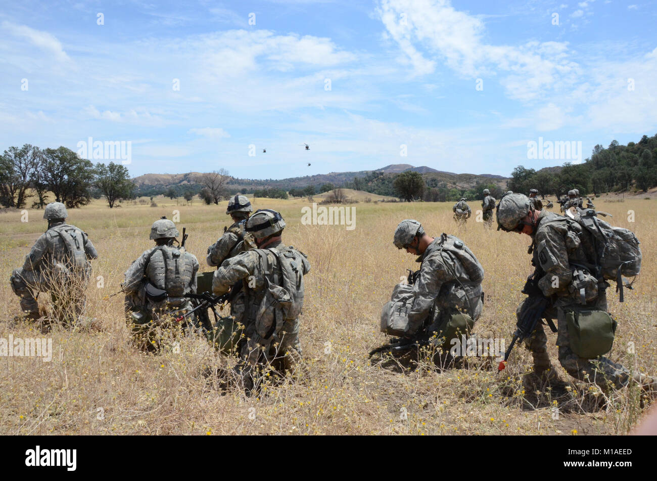 1 184th infantry regiment hi-res stock photography and images - Alamy