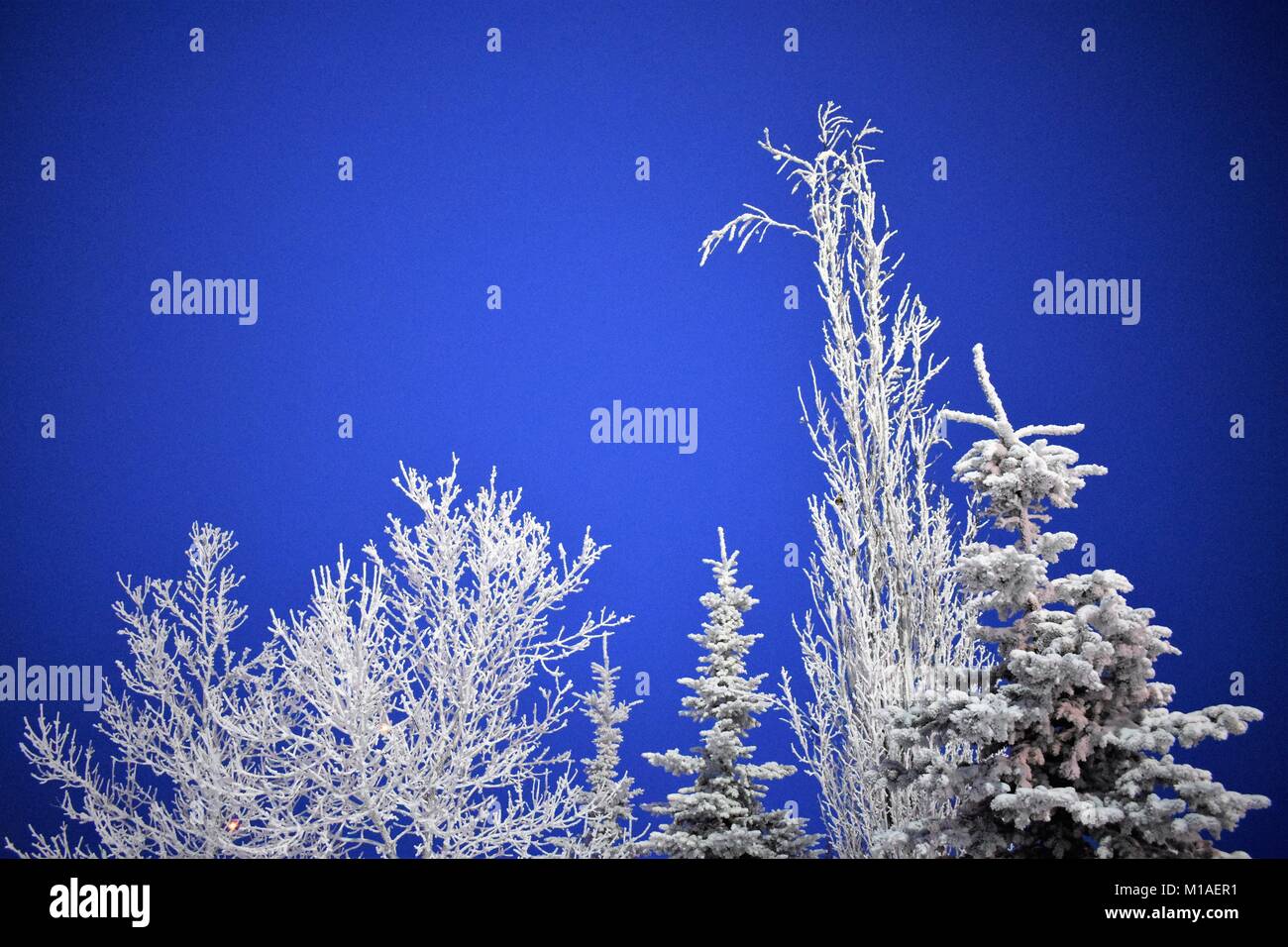 Cold chilly freezing frosty frozen cool hi-res stock photography and ...