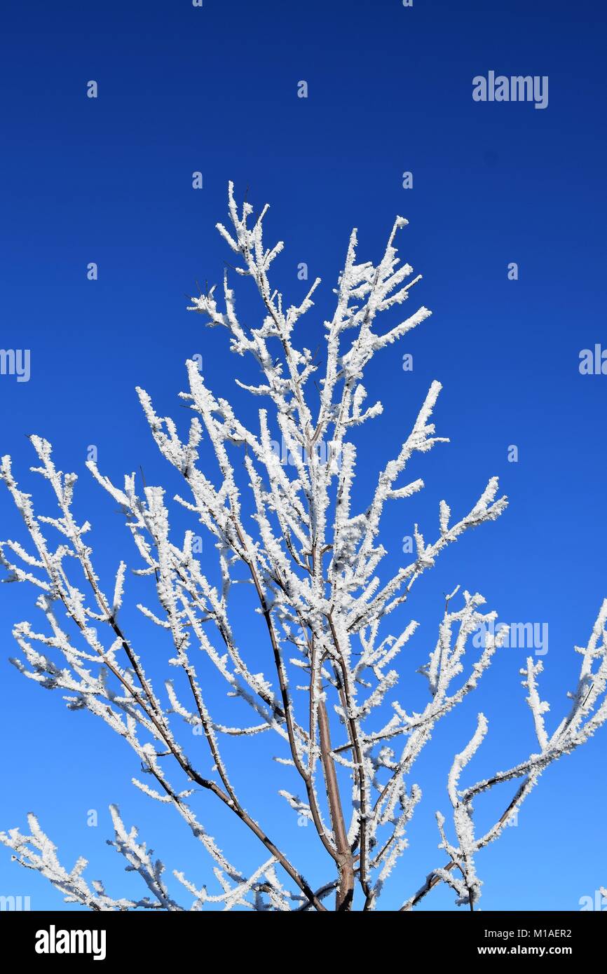 Chilly freezing frosty frozen cool hi-res stock photography and images ...