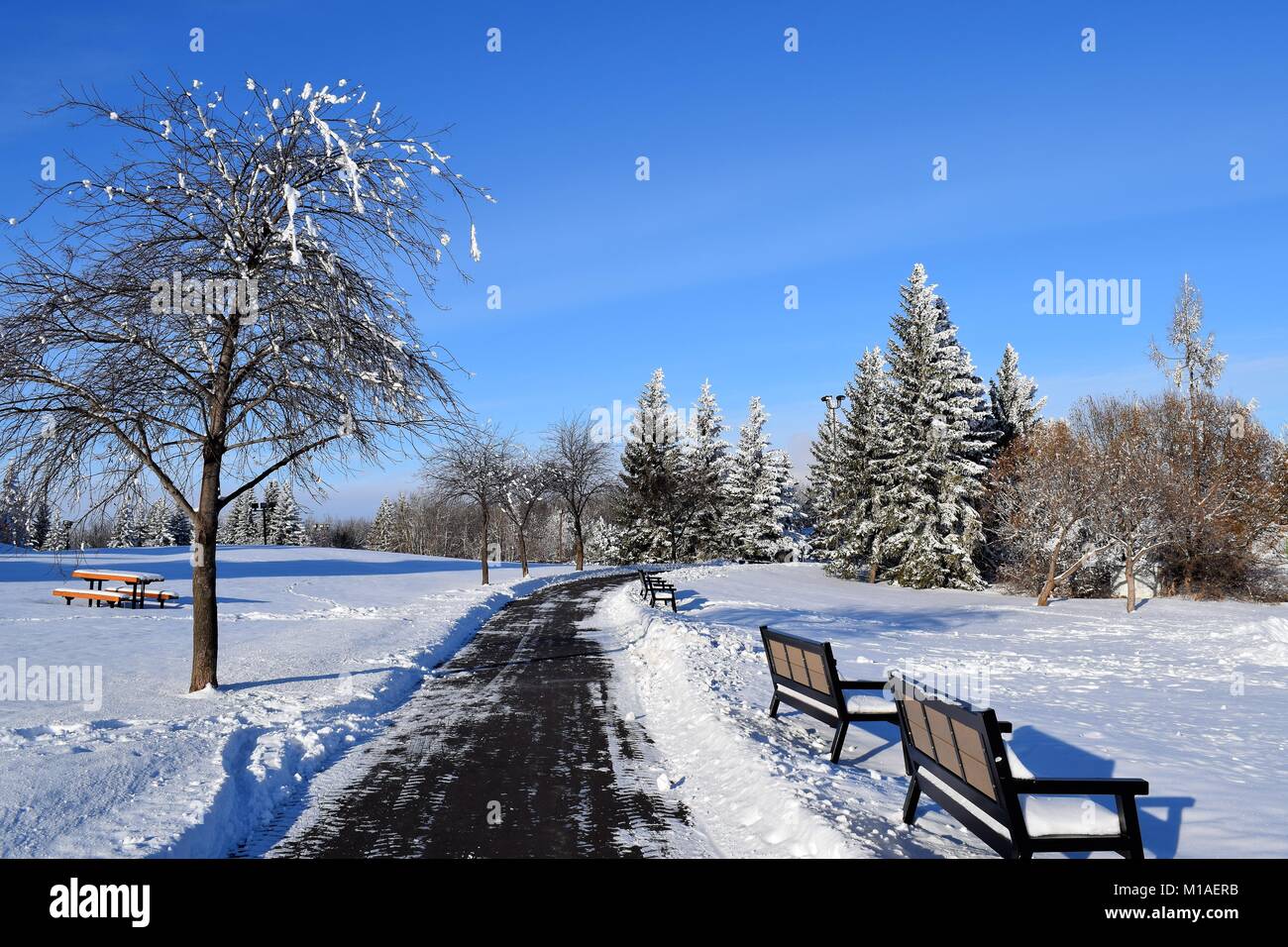 Park trail covered with snow Stock Photo - Alamy