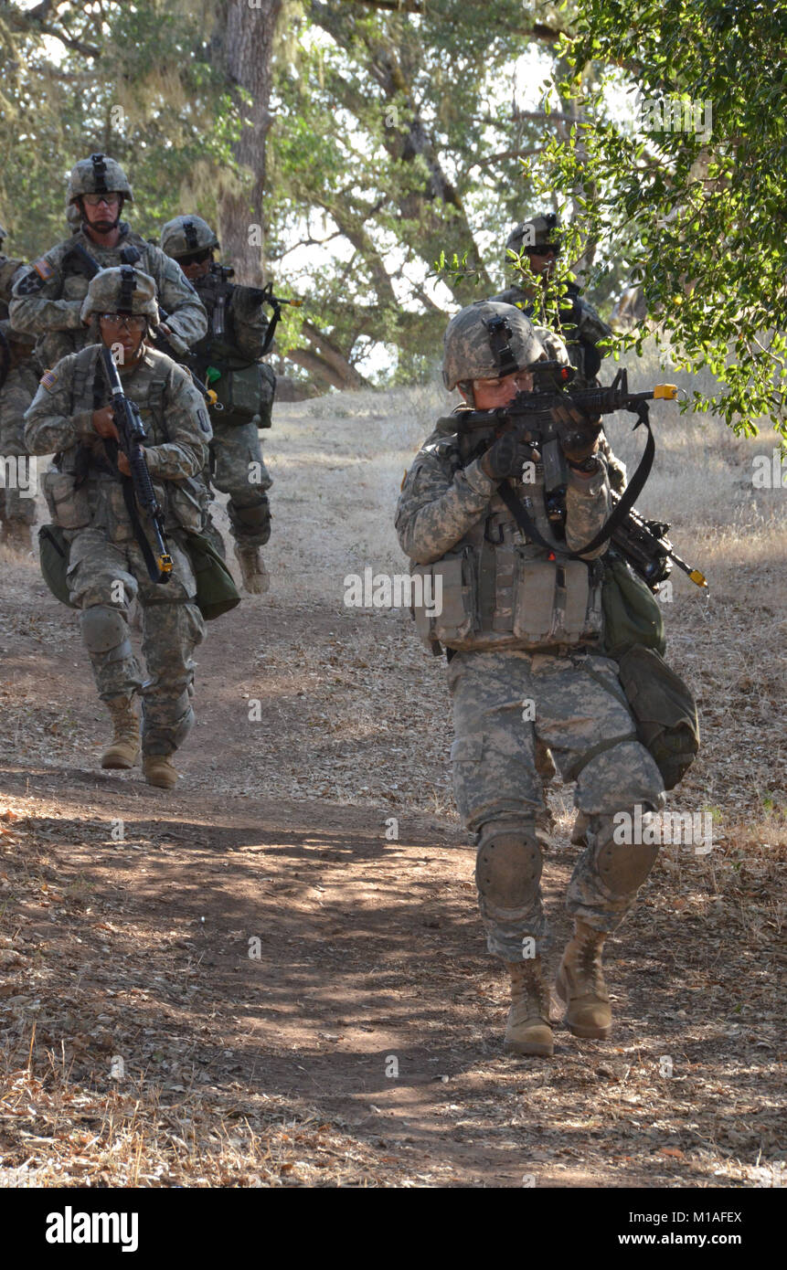 1 184th infantry regiment hi-res stock photography and images - Alamy