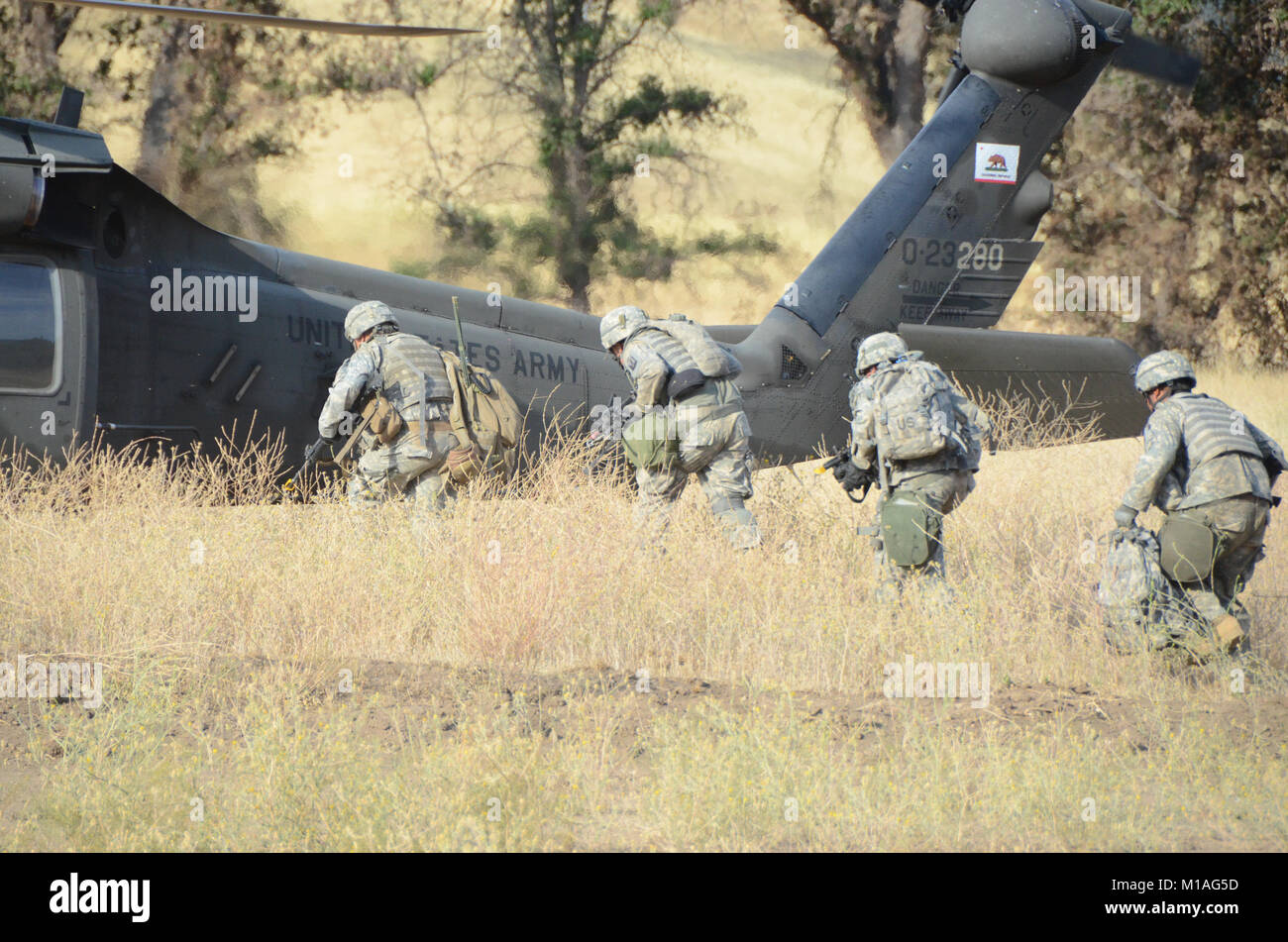 1 184th infantry regiment hi-res stock photography and images - Alamy